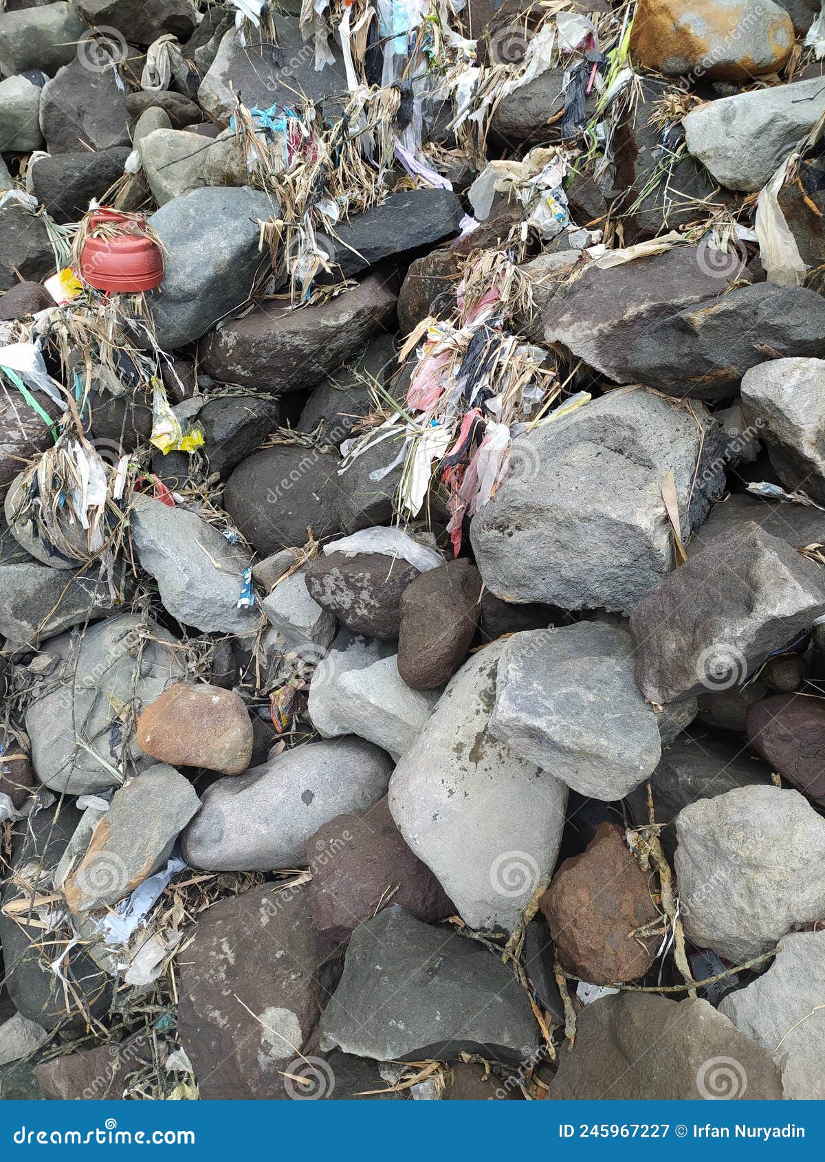 Hard Rocks by the River and Stuck Garbage. Stock Image - Image of rock ...