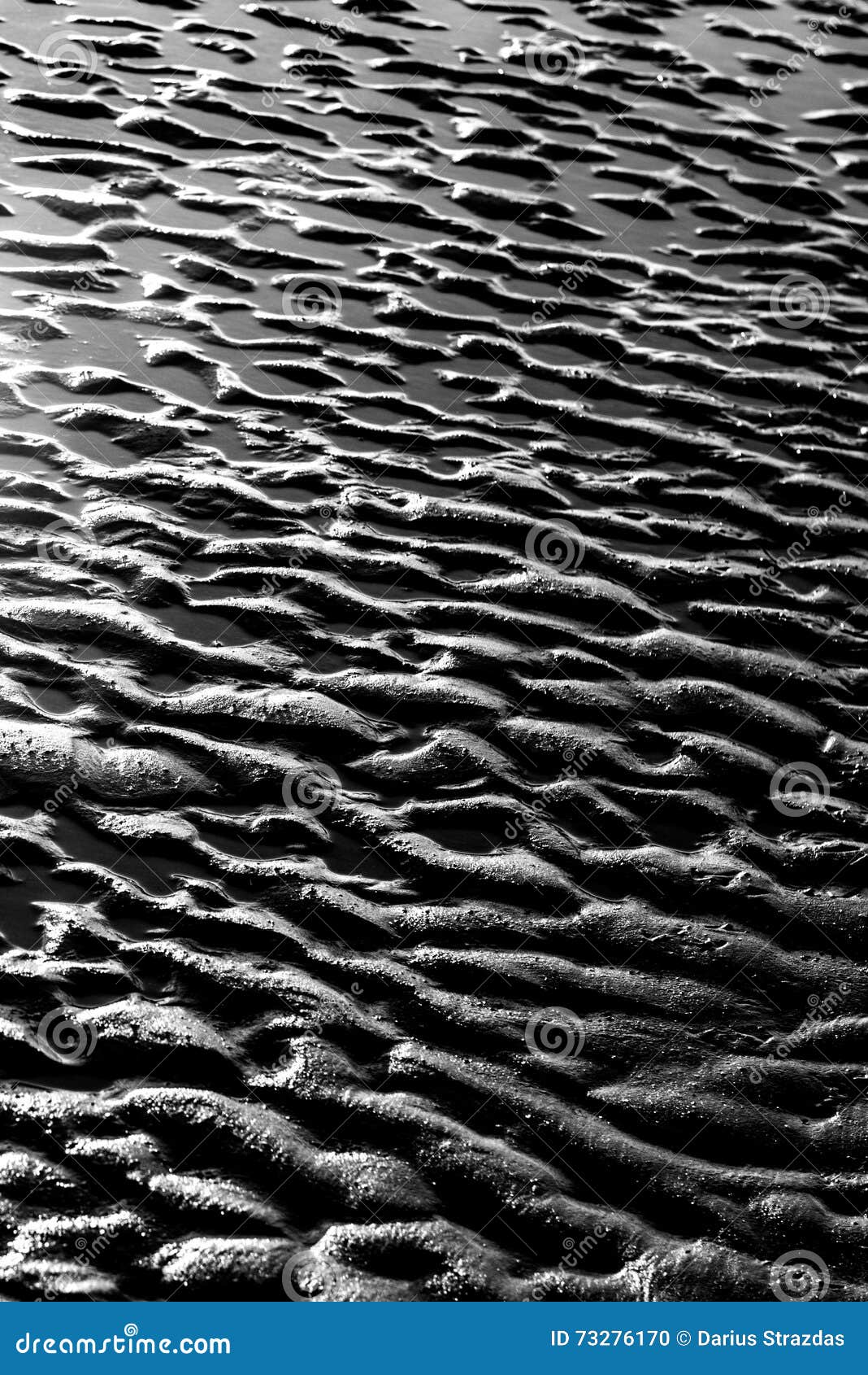 Hard sharp sand textures stock photo. Image of hard, nature - 73276170