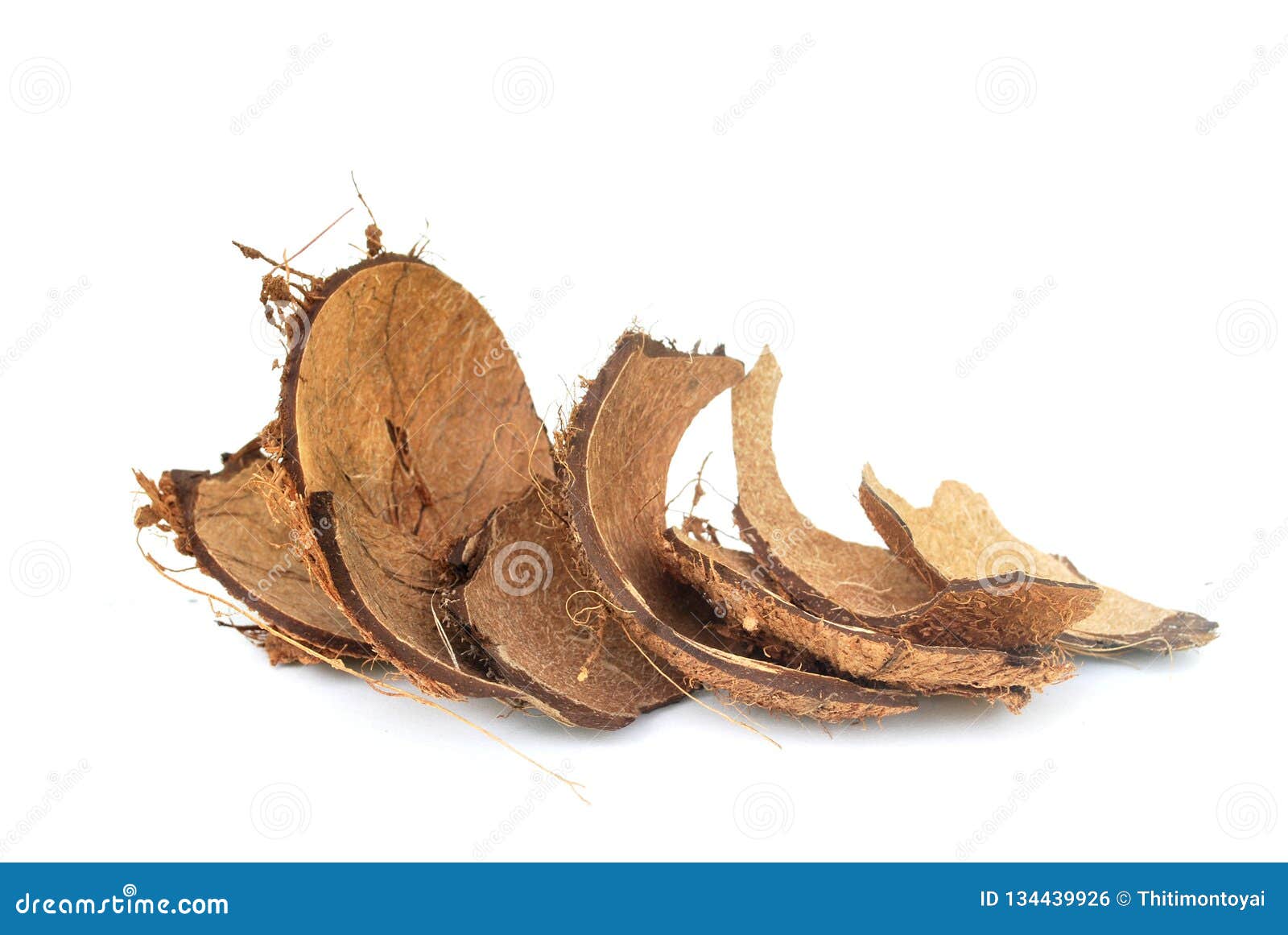 Hard Shell of Coconut White Background. Stock Photo - Image of concept ...