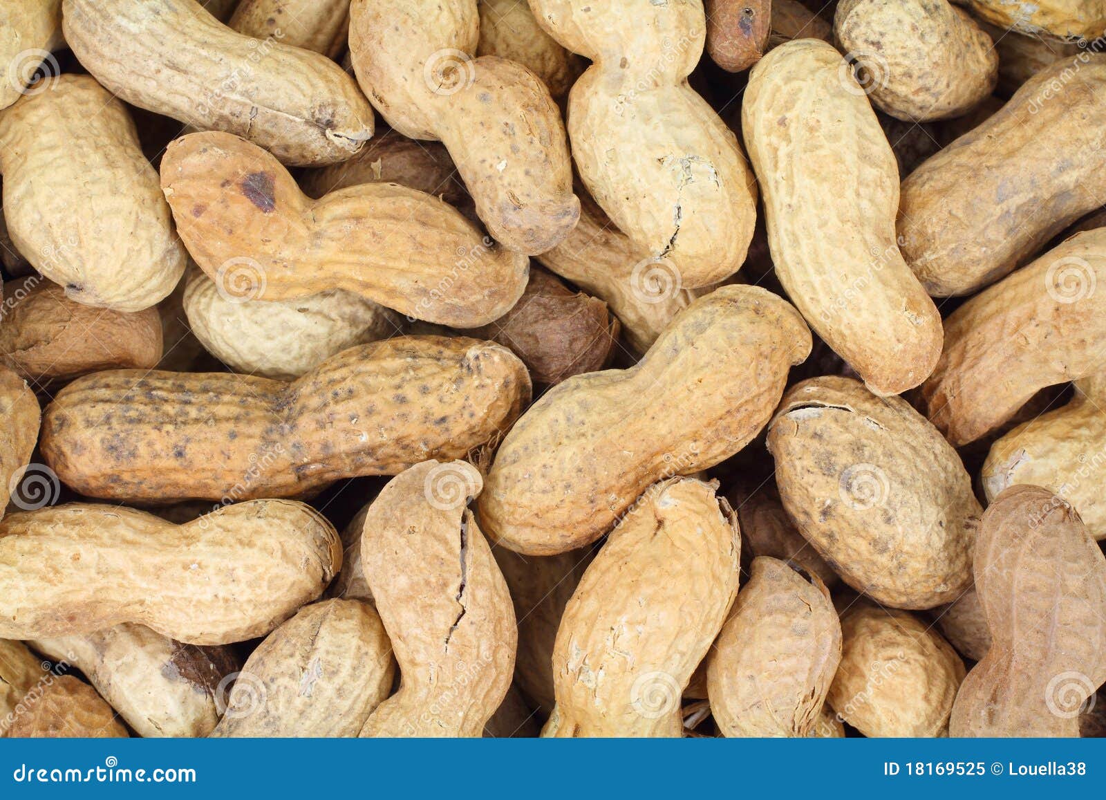 Hard Shelled Peanuts Close View Stock Image - Image of peanuts, snack ...