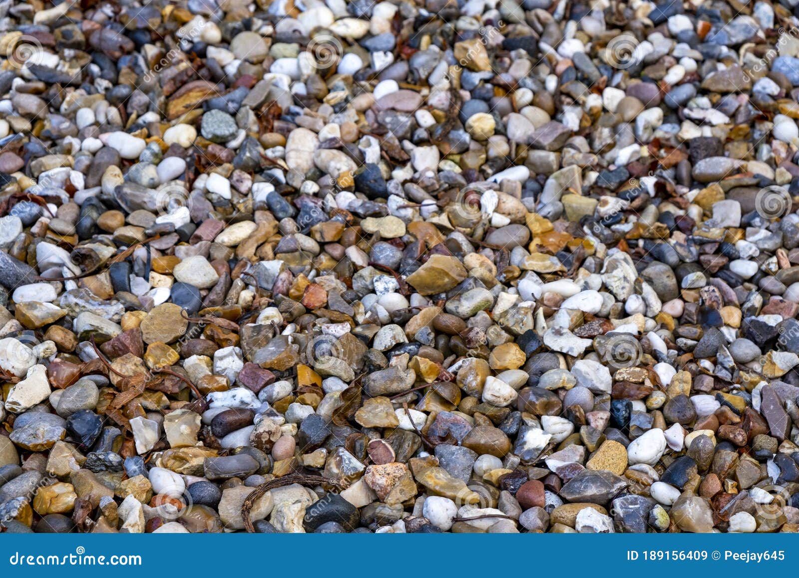 Hard Stoney Beach for Backgrounds Stock Image - Image of backgrounds ...