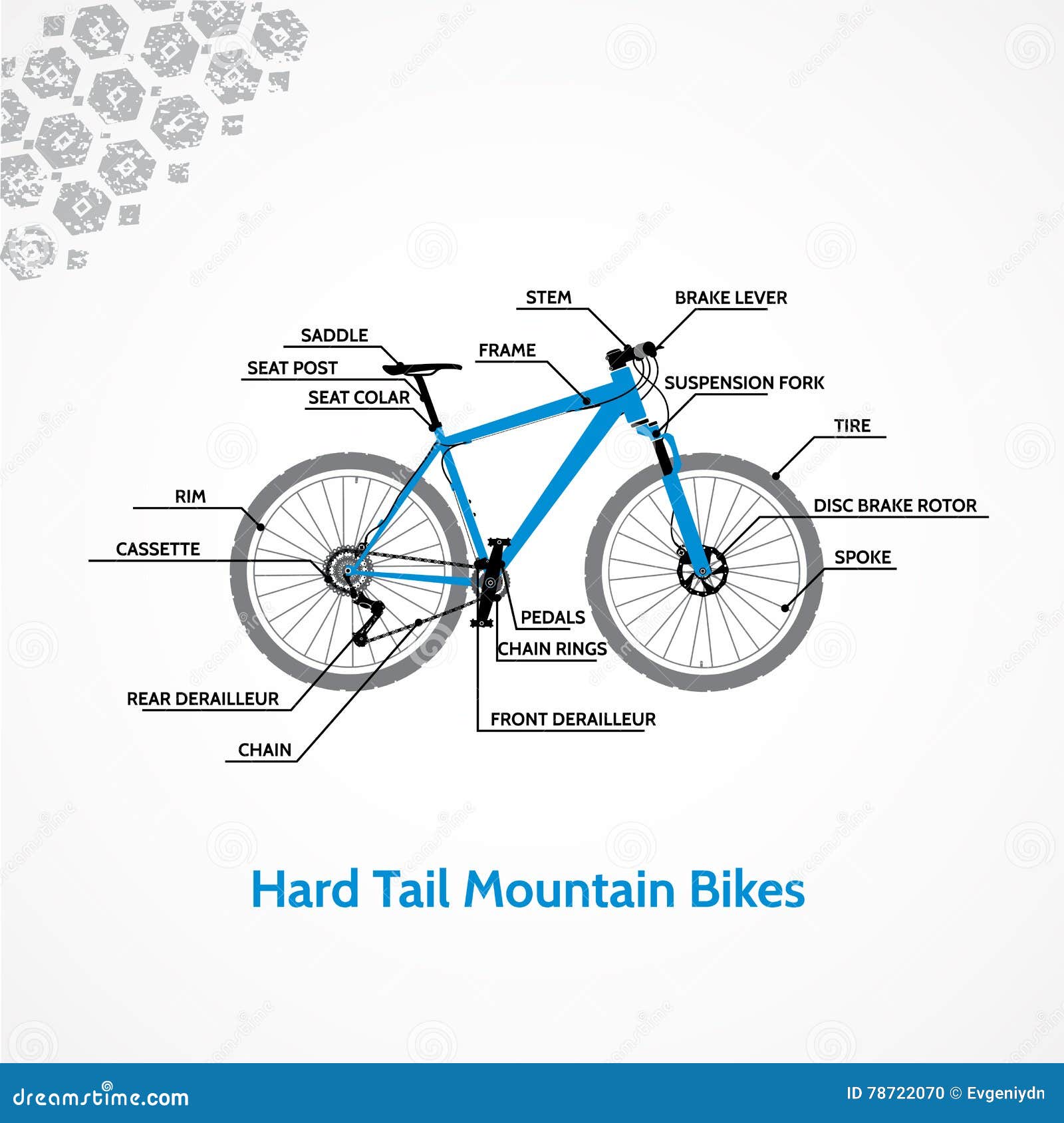 Hard Tail Mountain Bikes. stock illustration. Illustration of mountain ...