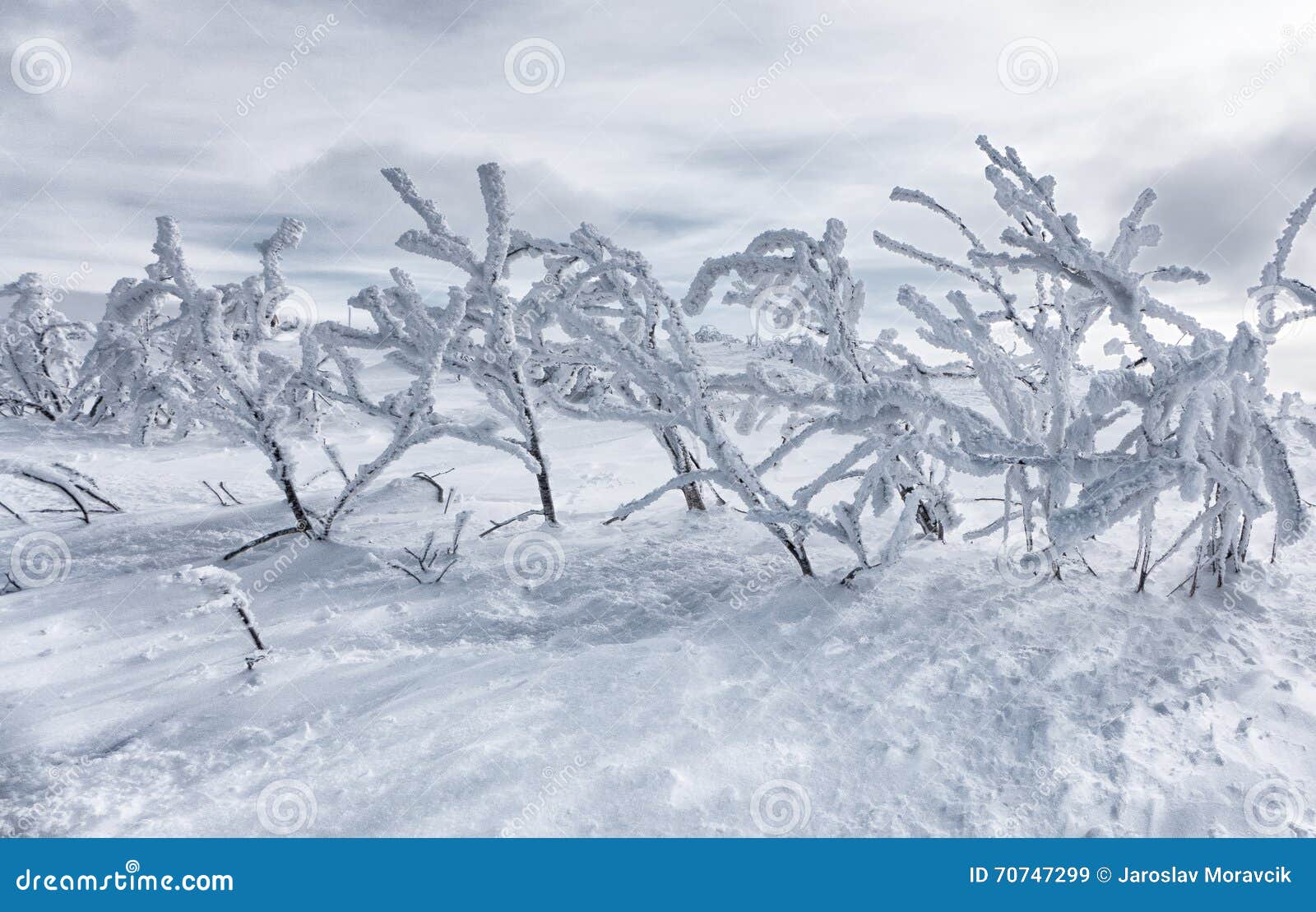 Hard winter in mountains stock image. Image of vratna - 70747299
