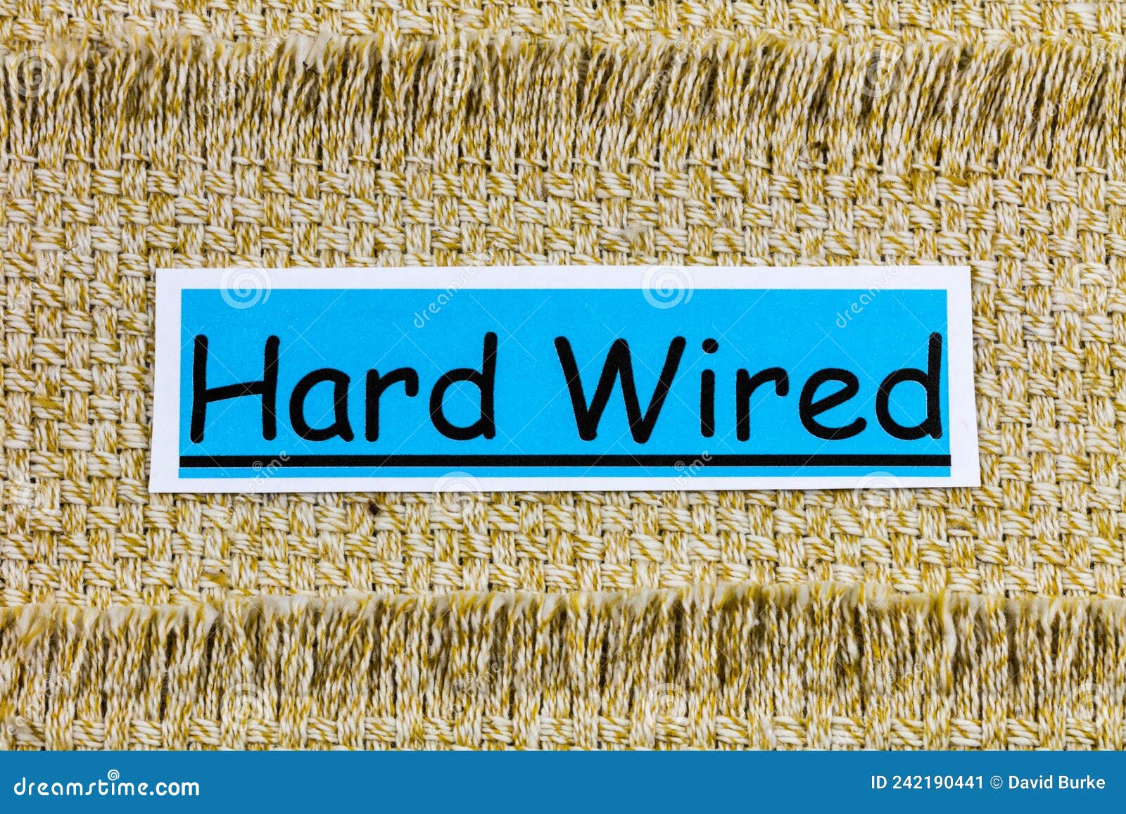 Hard Wired Business Construction Wire Technology Communication ...