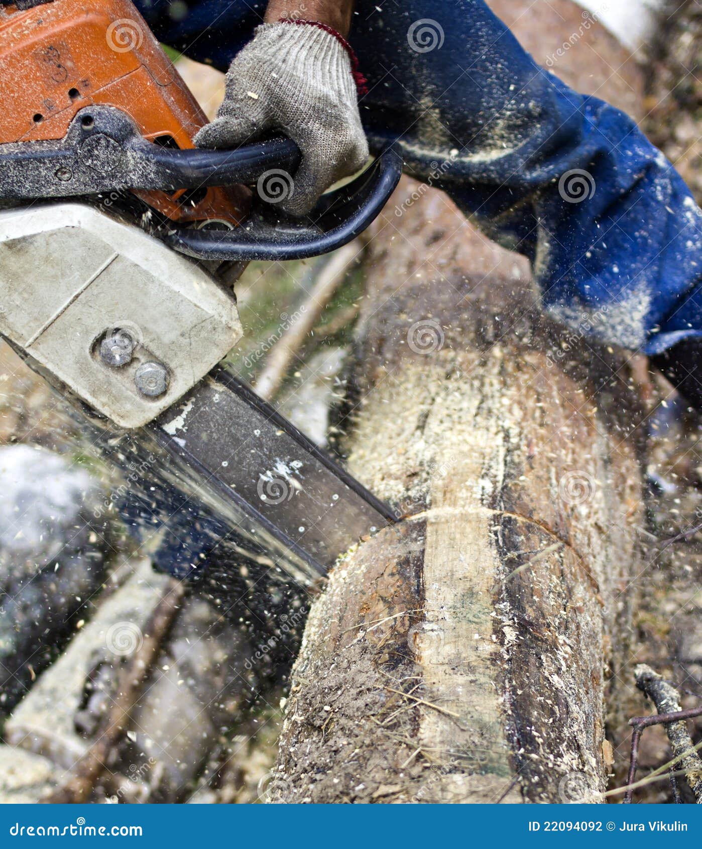 Hard work stock photo. Image of sawing, hard, agriculture - 22094092