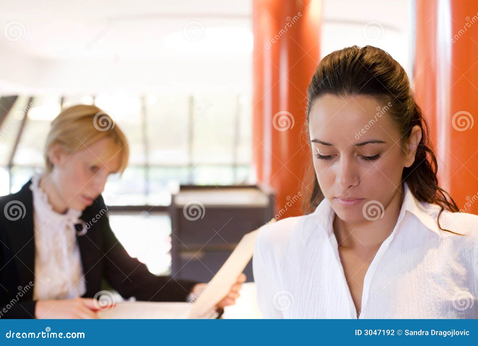 Hard work stock photo. Image of business, group, confidence - 3047192