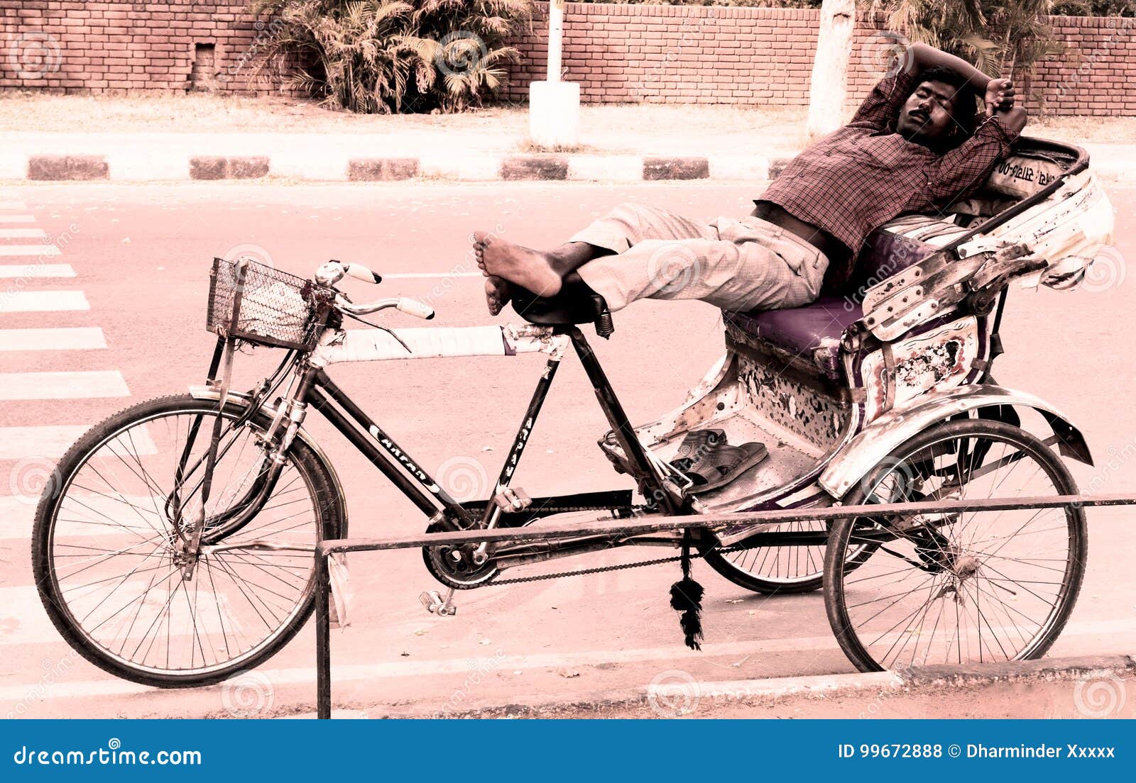 Hard Worker Slept in Chandigarh India Editorial Stock Photo - Image of ...