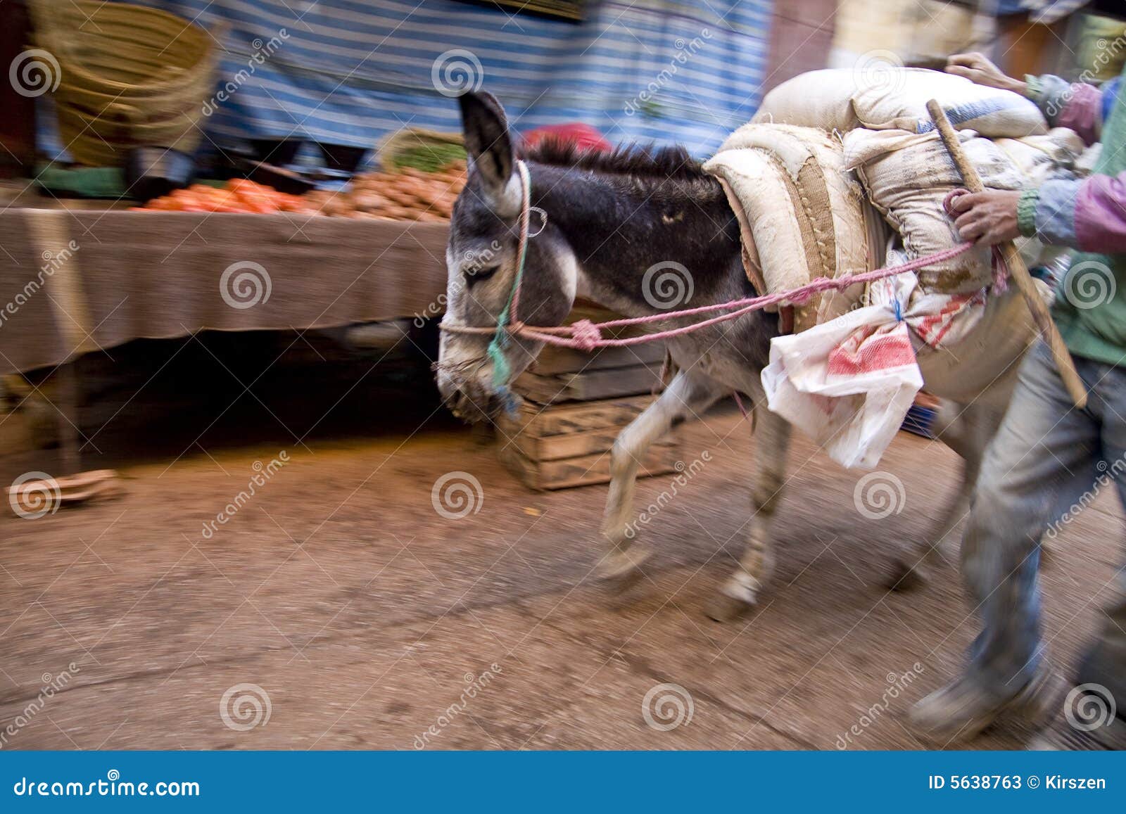 Hard-working donkey stock image. Image of motion, mammal - 5638763
