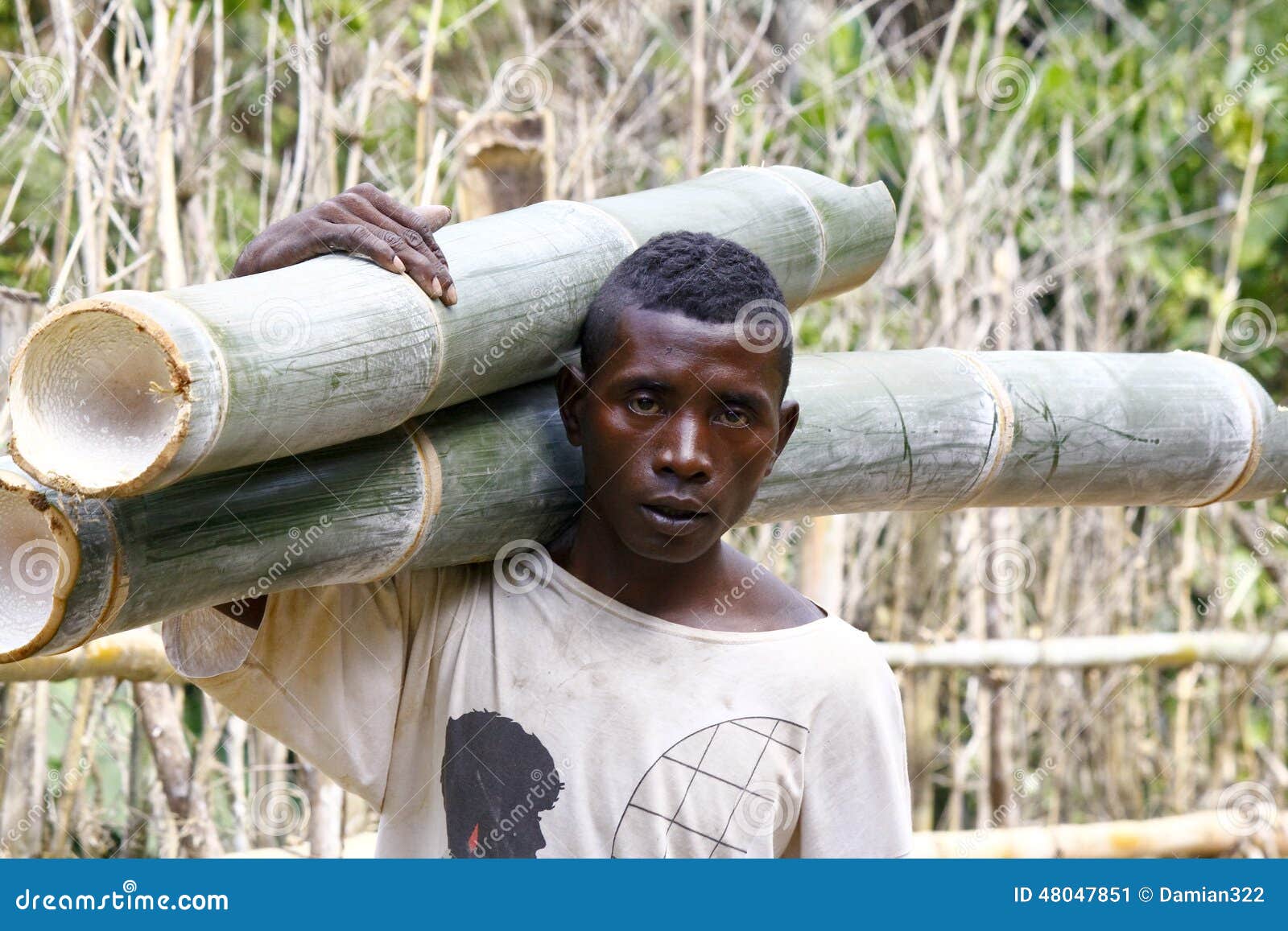 Hard Working Man Carrying a Tree Trunk - MADAGASCAR Stock Image - Image ...