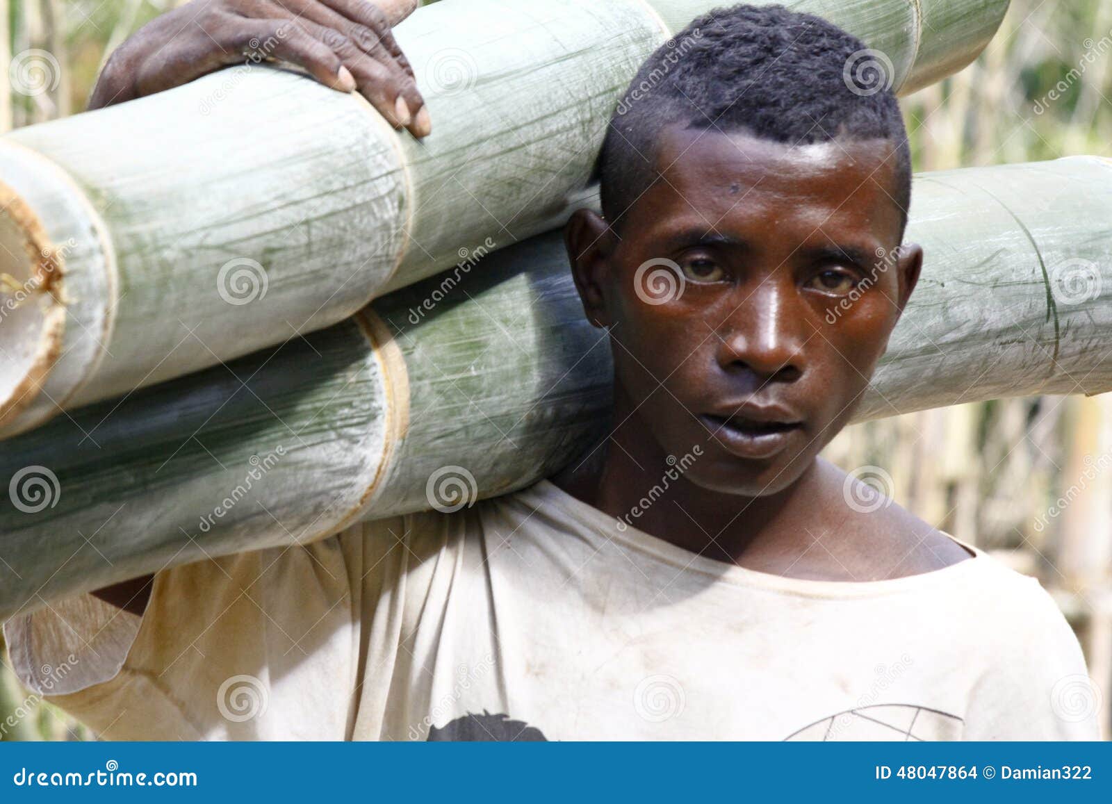 Hard Working Man Carrying a Tree Trunk - MADAGASCAR Stock Photo - Image ...