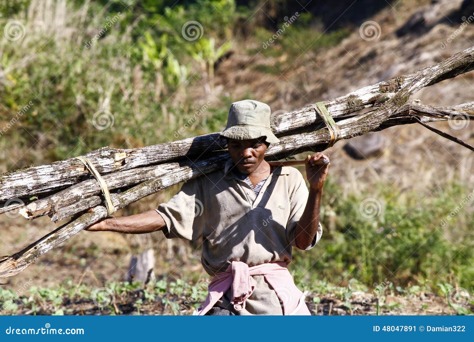 Hard Working Man Carrying a Tree Trunk - MADAGASCAR Stock Image - Image ...