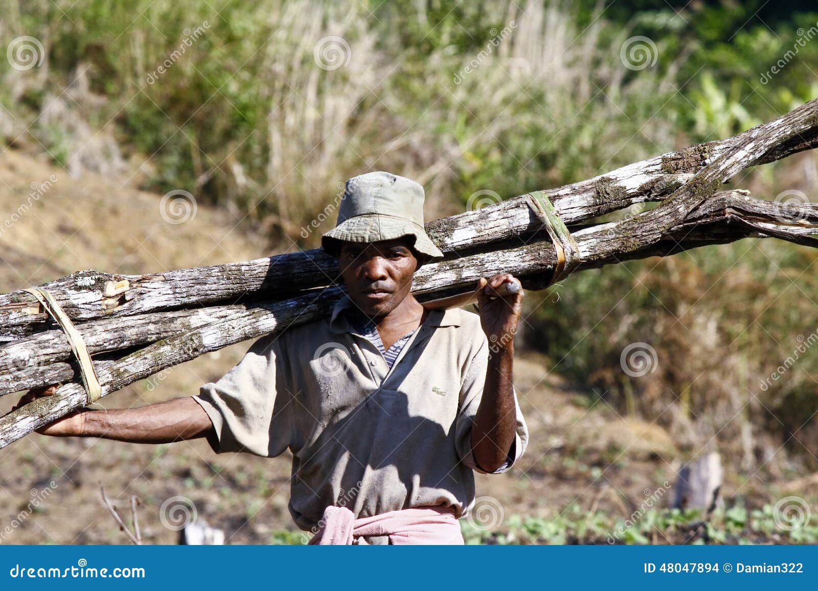 Hard Working Man Carrying a Tree Trunk - MADAGASCAR Stock Photo - Image ...