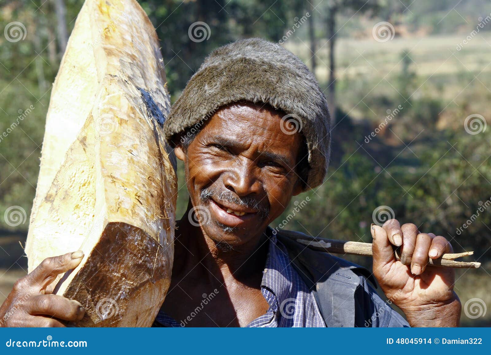 Hard Working Man Carrying a Tree Trunk - MADAGASCAR Stock Photo - Image ...