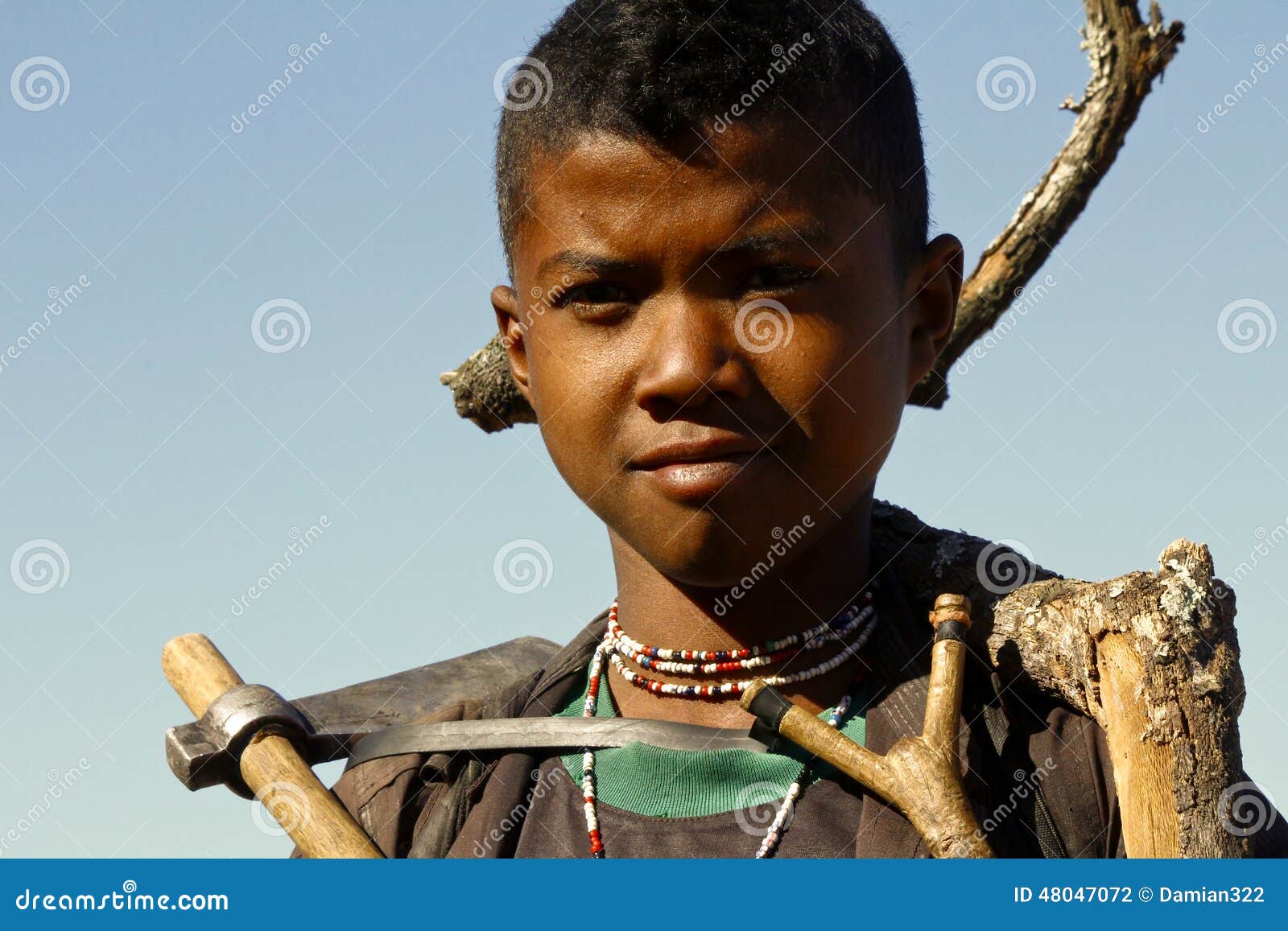 Hard Working Poor Boy Carrying a Tree Trunk - MADAGASCAR Stock Photo ...