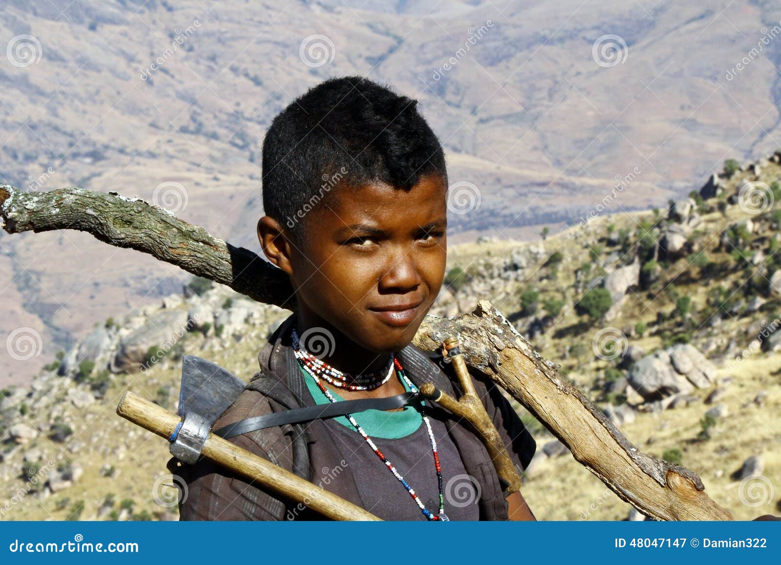 Hard Working Poor Boy Carrying a Tree Trunk - MADAGASCAR Stock Image ...