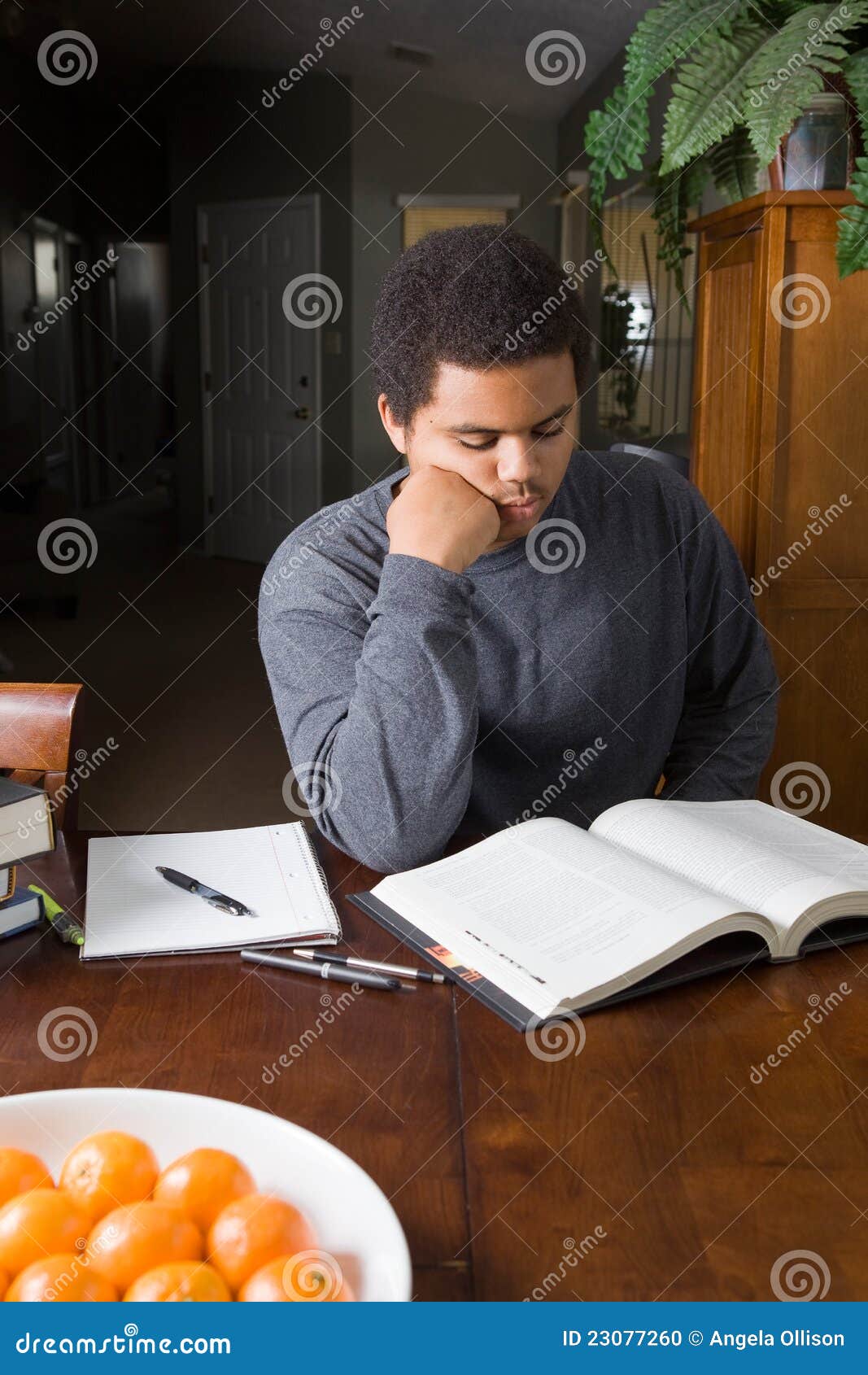 Hard Working Teenage Student Stock Photo - Image of working, studying ...