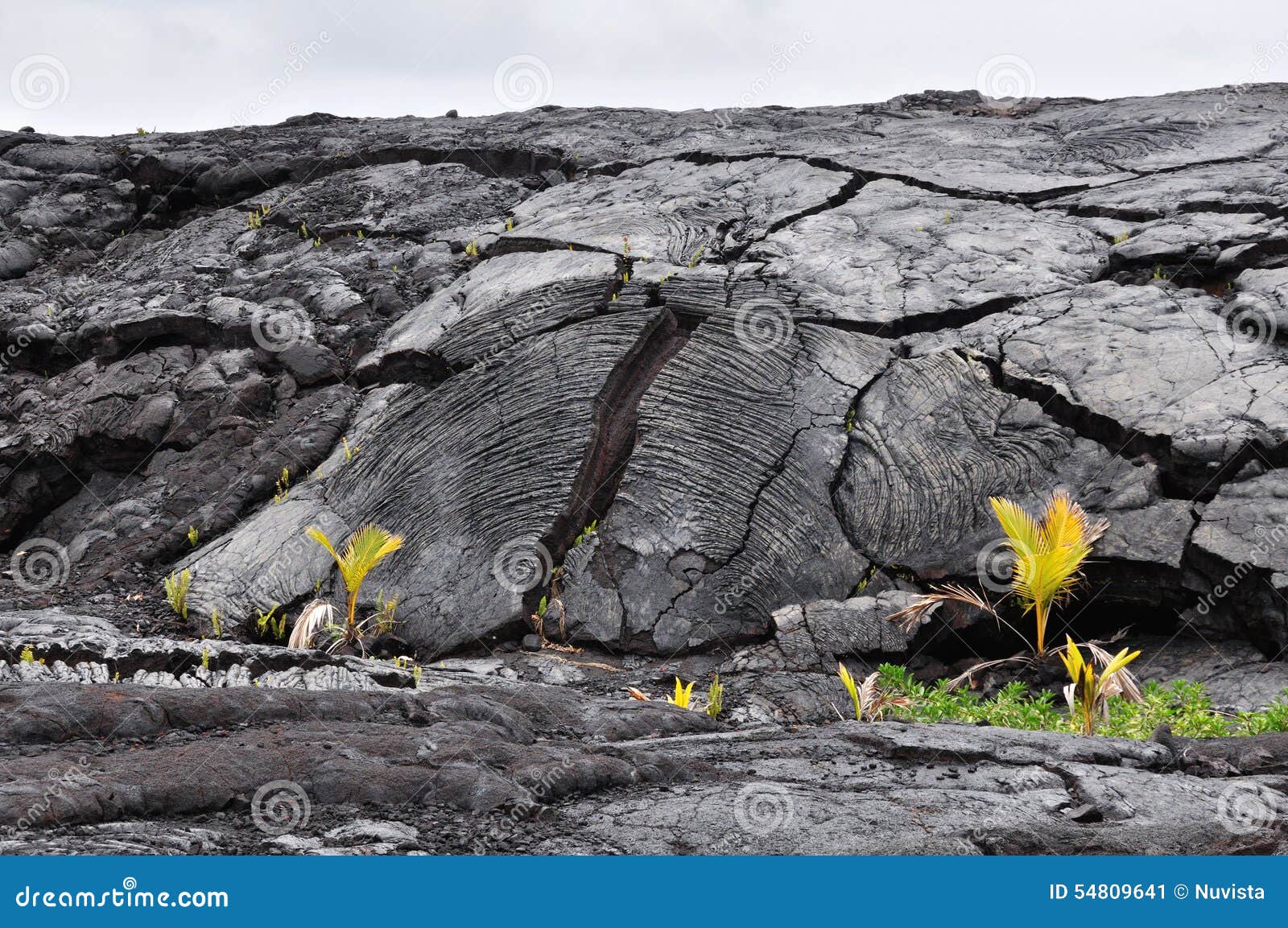 Hardened lava rock stock image. Image of geology, rock - 54809641