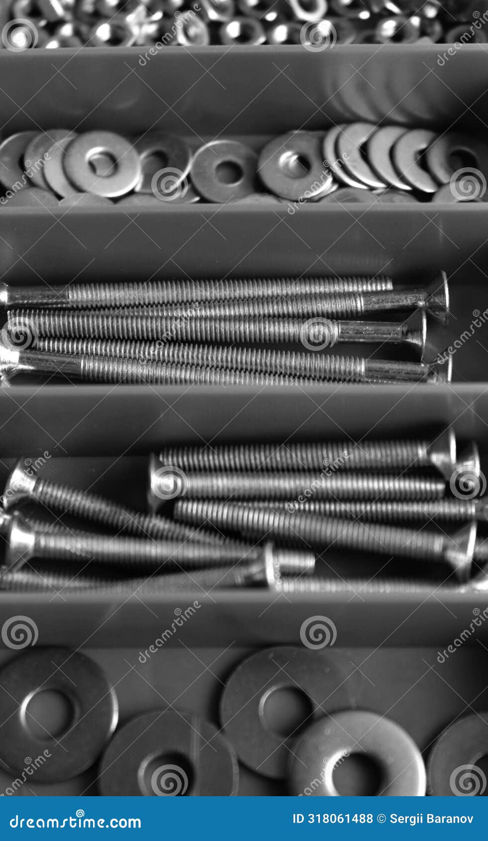 Hardware Items is Arranged by Type in the Separated Cells in Plastic ...