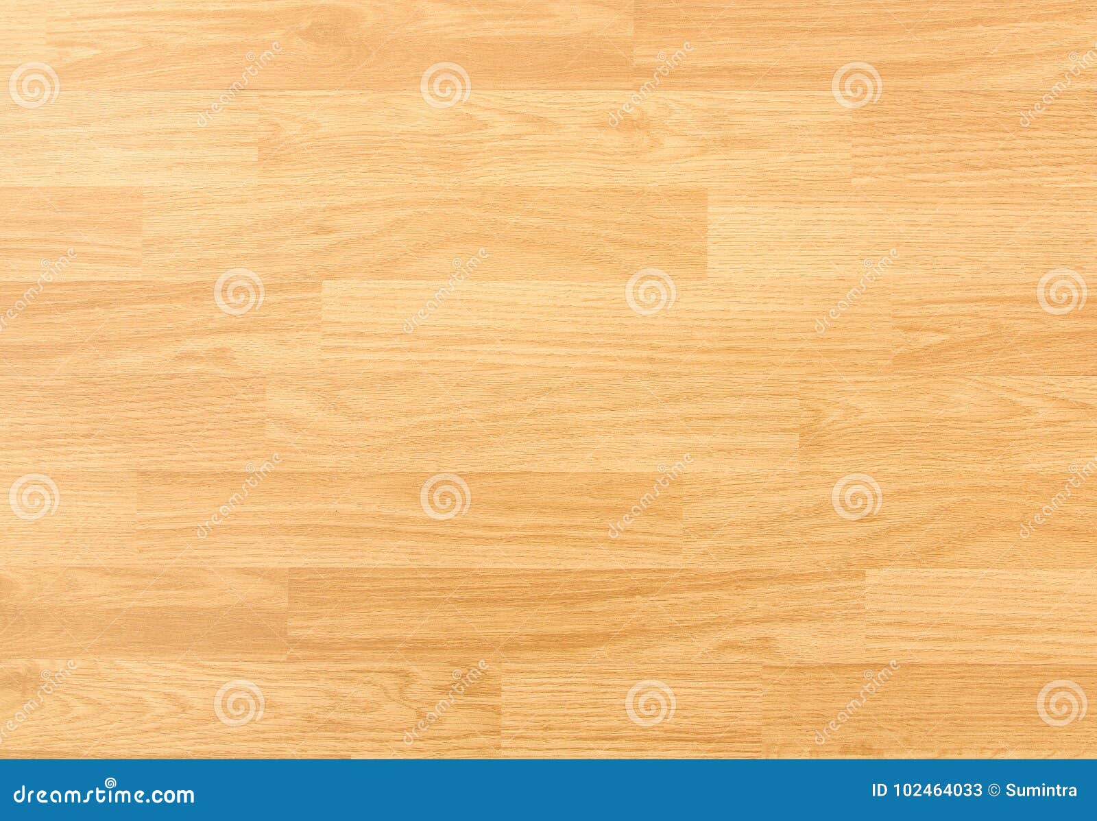 Hardwood Maple Floor Viewed from Above Stock Image - Image of board ...