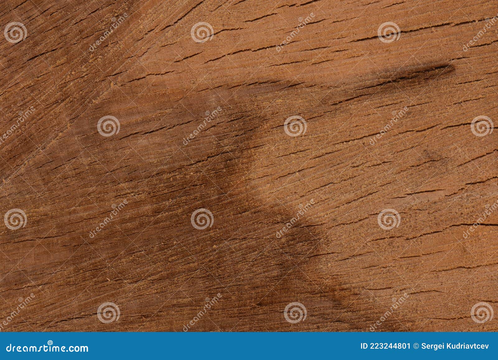 Hardwood Texture Aspen Tree Multicolor Pattern Stock Image - Image of ...