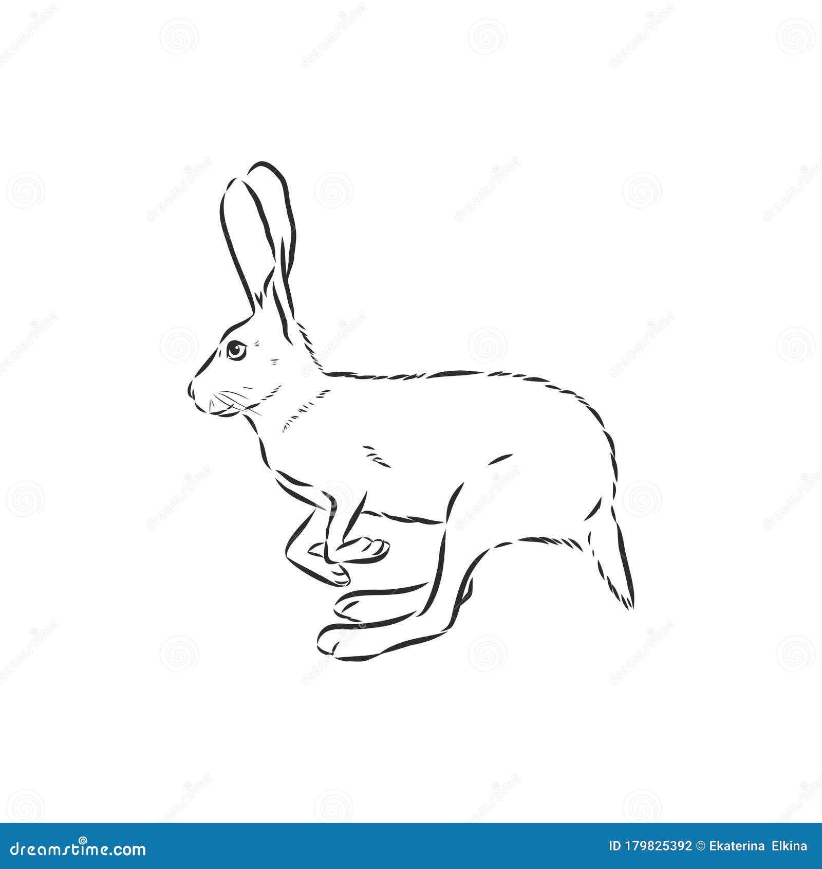 Hare, Doodle Style Sketch Illustration Hand Drawn Vector, Hare Vector ...