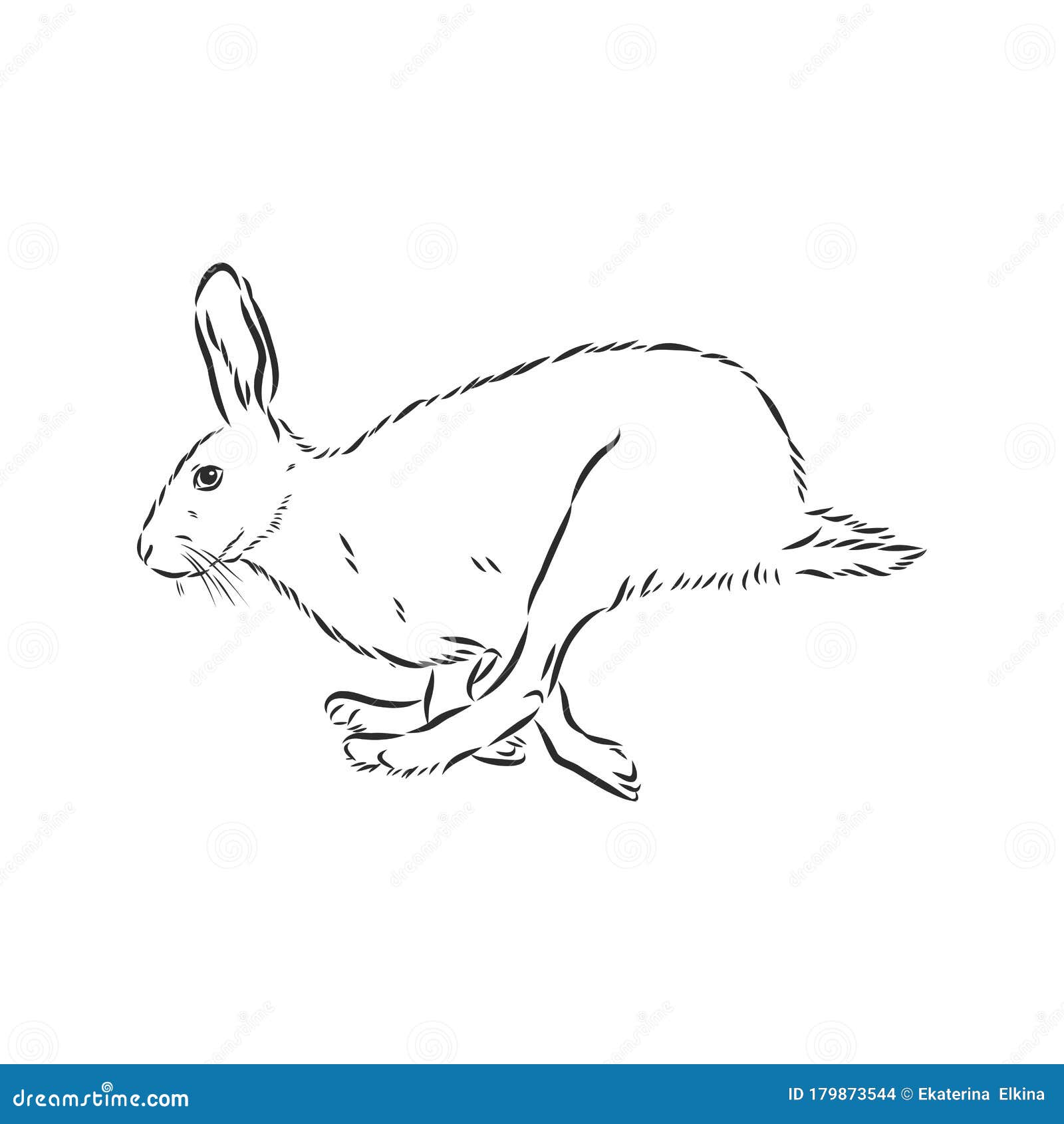 Hare, Doodle Style Sketch Illustration Hand Drawn Vector, Hare Vector ...