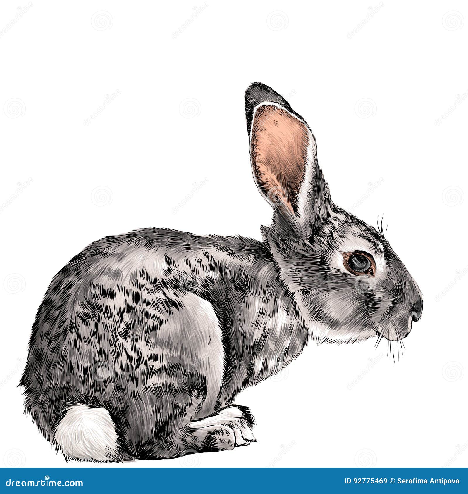 The Hare in Full Growth Sits Sideways Sketch Vector Stock Vector ...