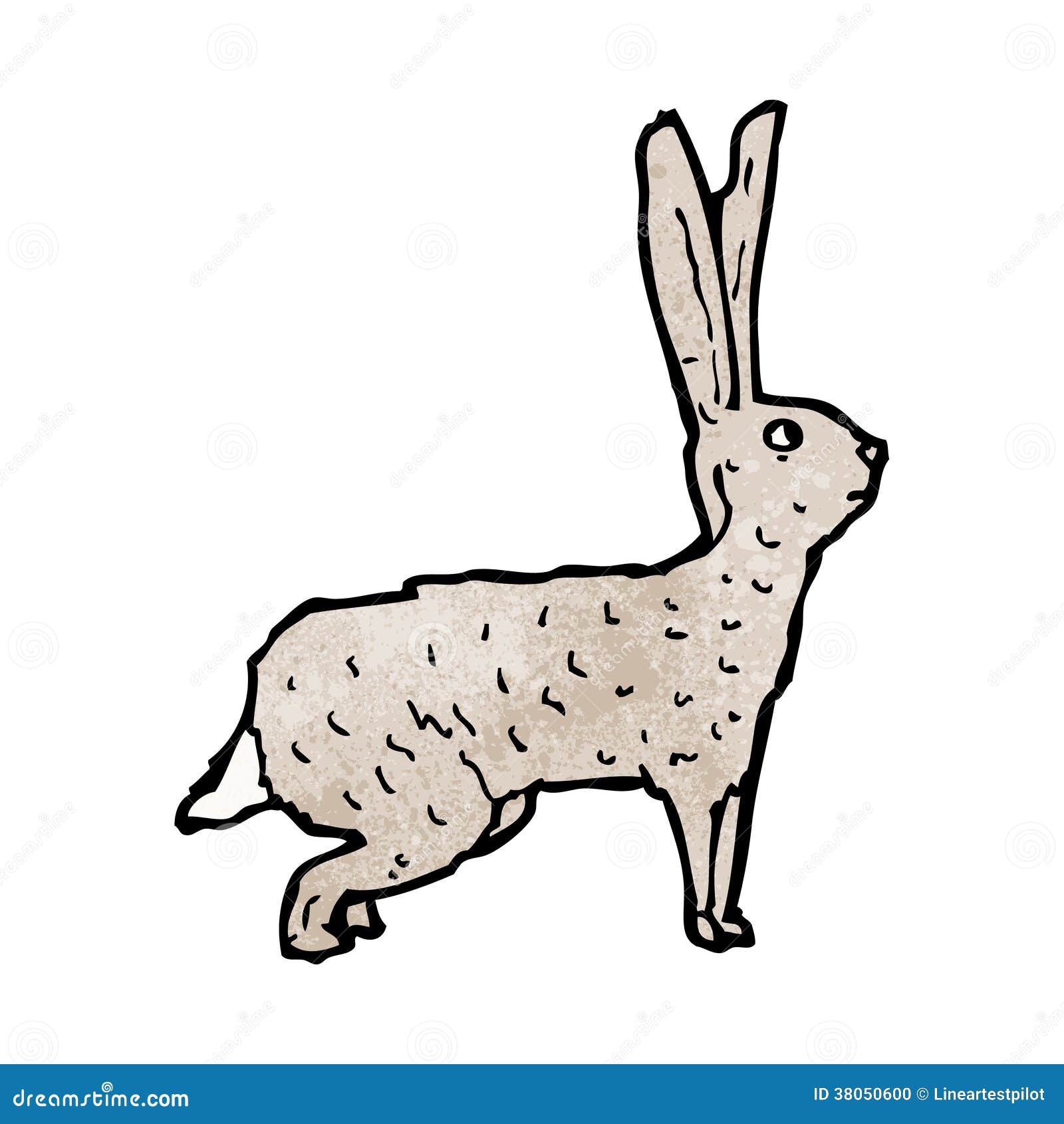 Hare illustration stock vector. Illustration of drawing - 38050600