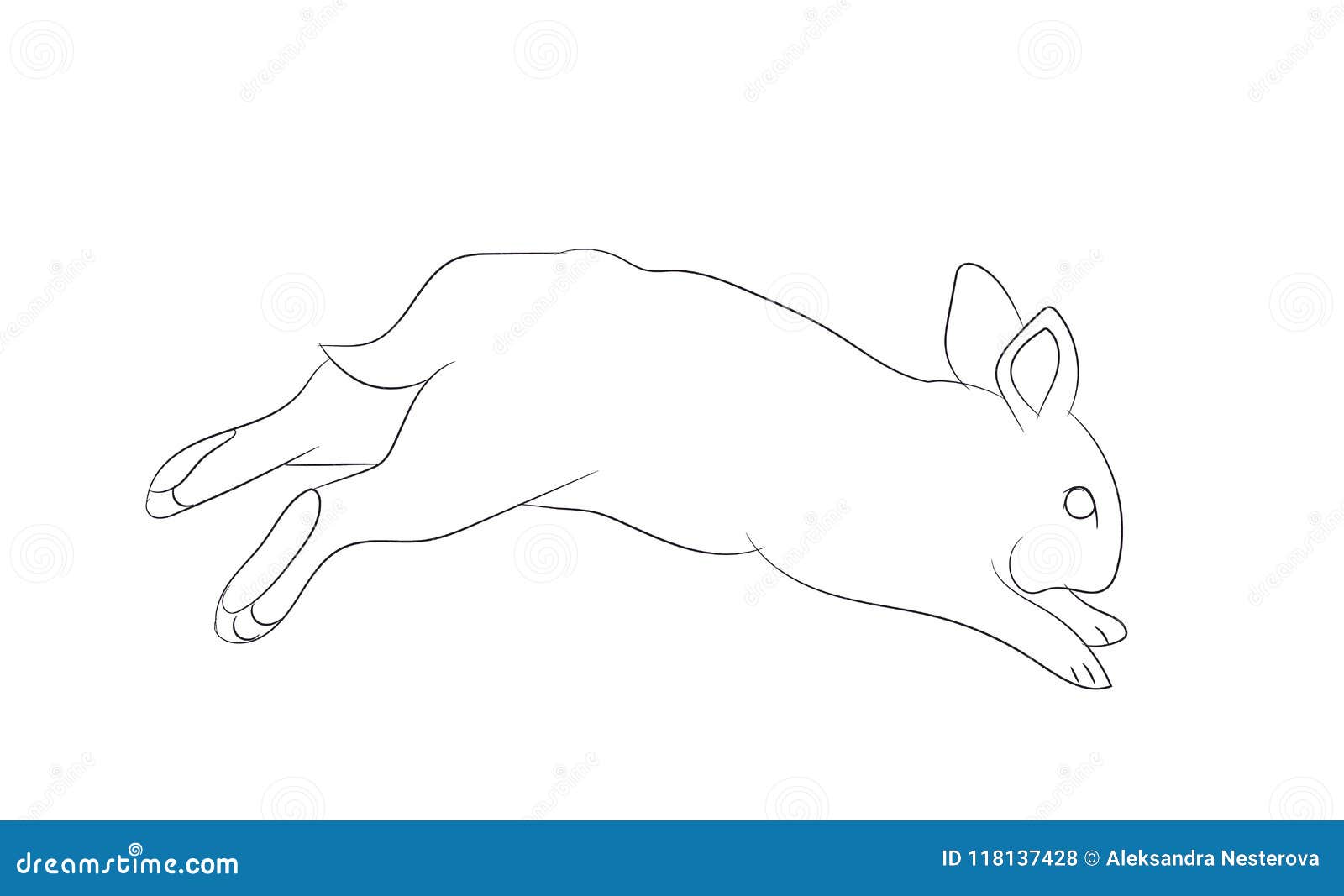 Hare Jumping Animal Cartoon Character Vector Illustration ...