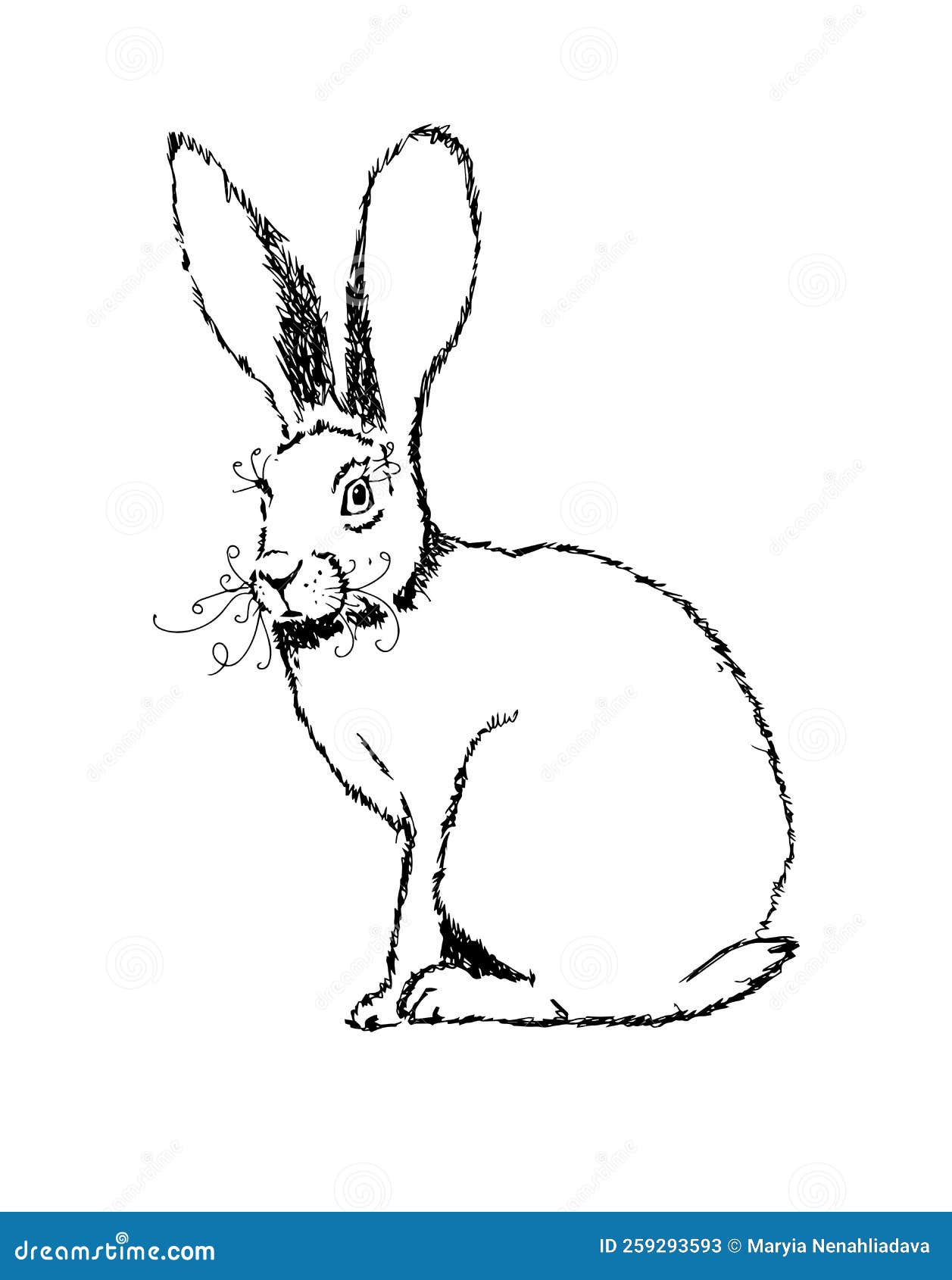 Hare Outline by Line. Vector Illustration Stock Vector - Illustration ...