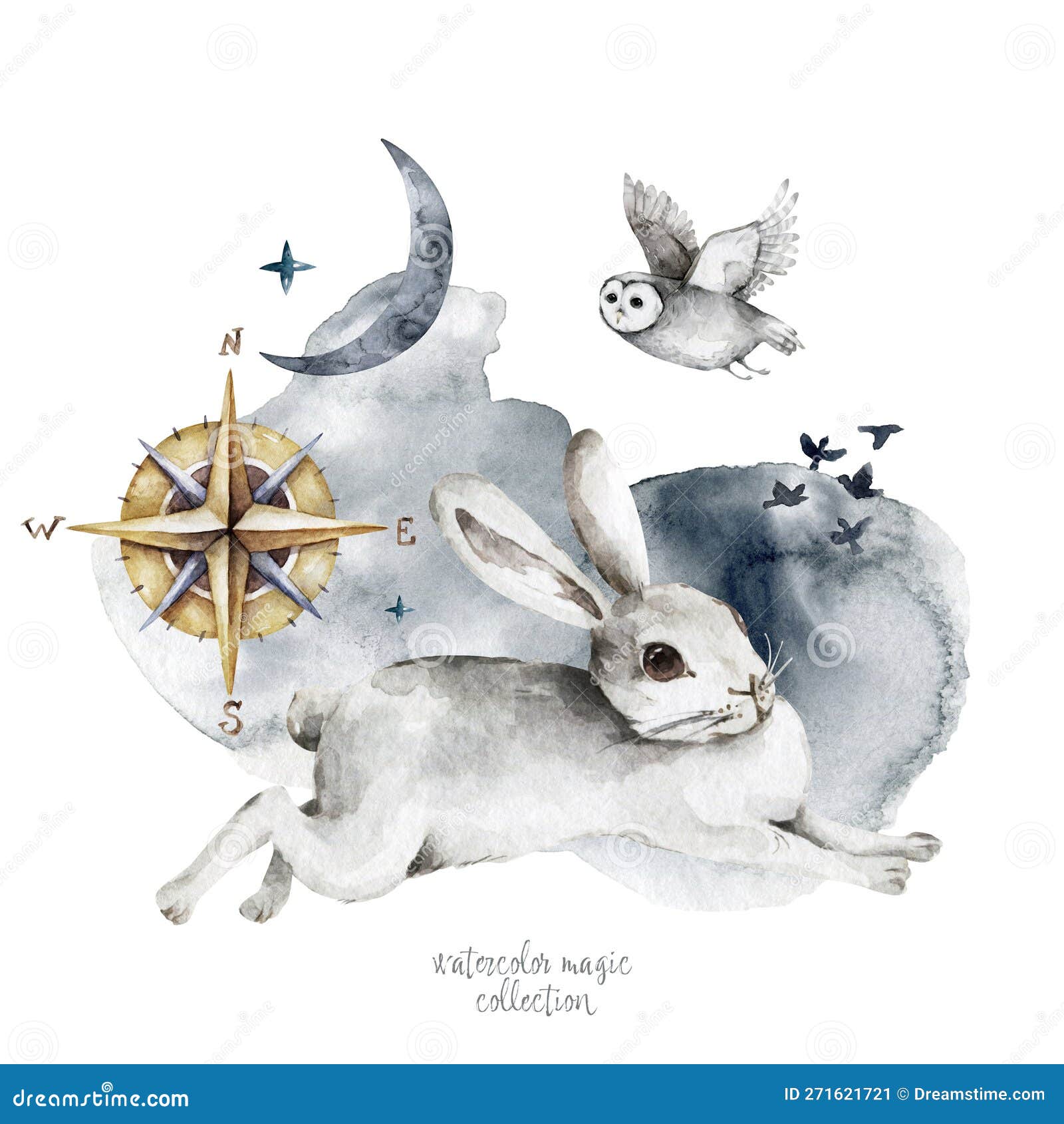 Hare, Owl, Forest Animals Watercolor. Compass, Symbolism, Magic Stock ...