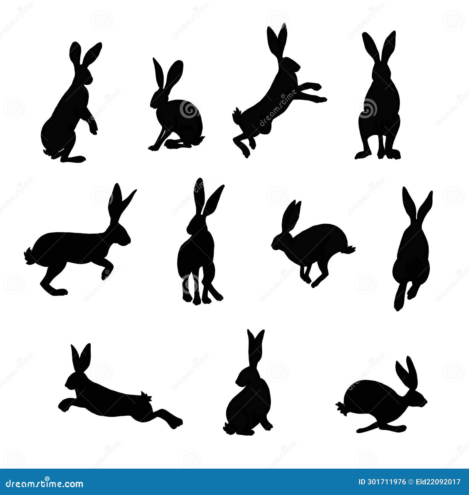 Hare and Rabbit Set Isolated Hand Drawn Illustration Stock Illustration ...