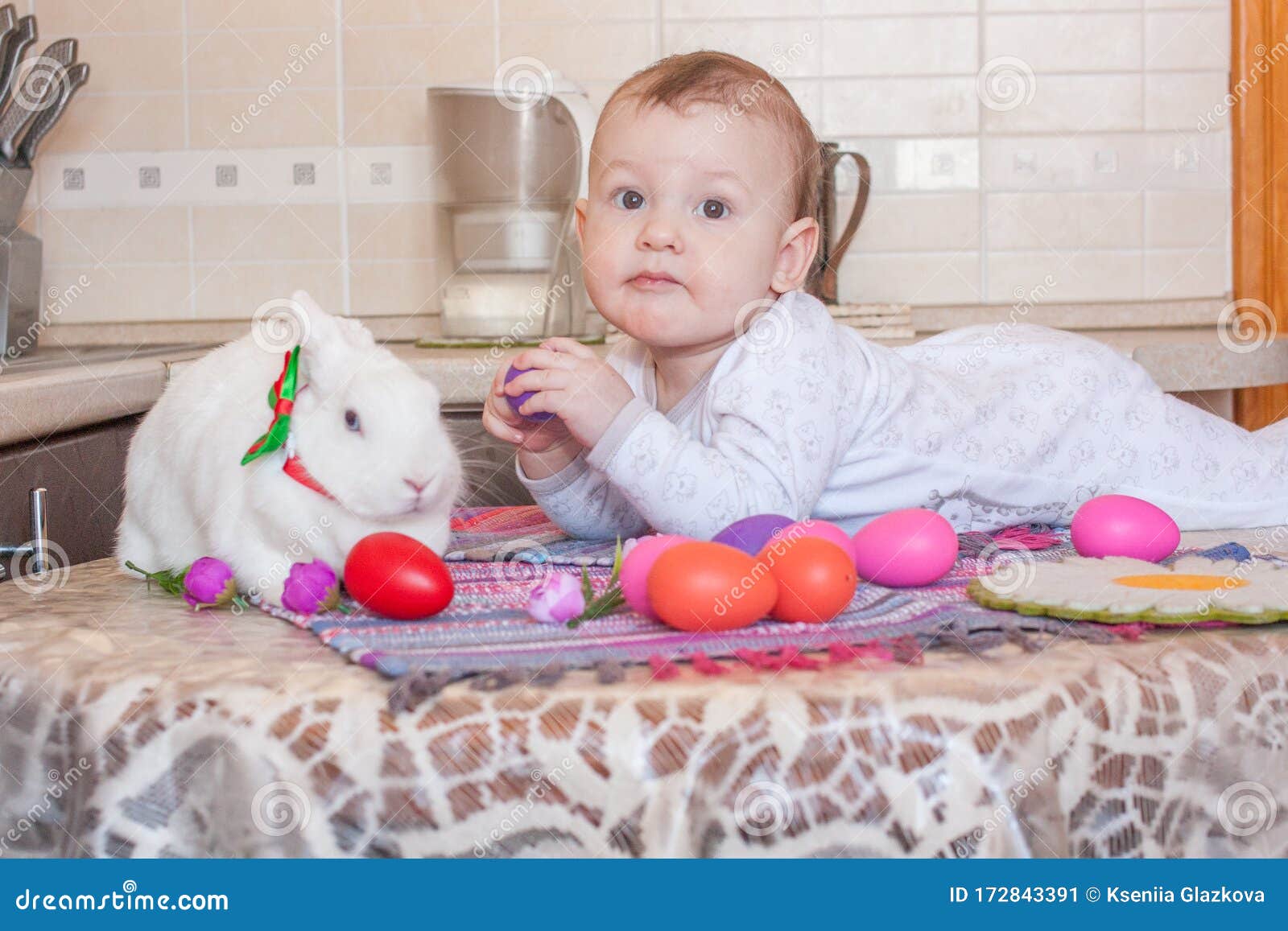 The Hare is Snow-white Beautiful and Fluffy. Easter Bunny on the Stock ...