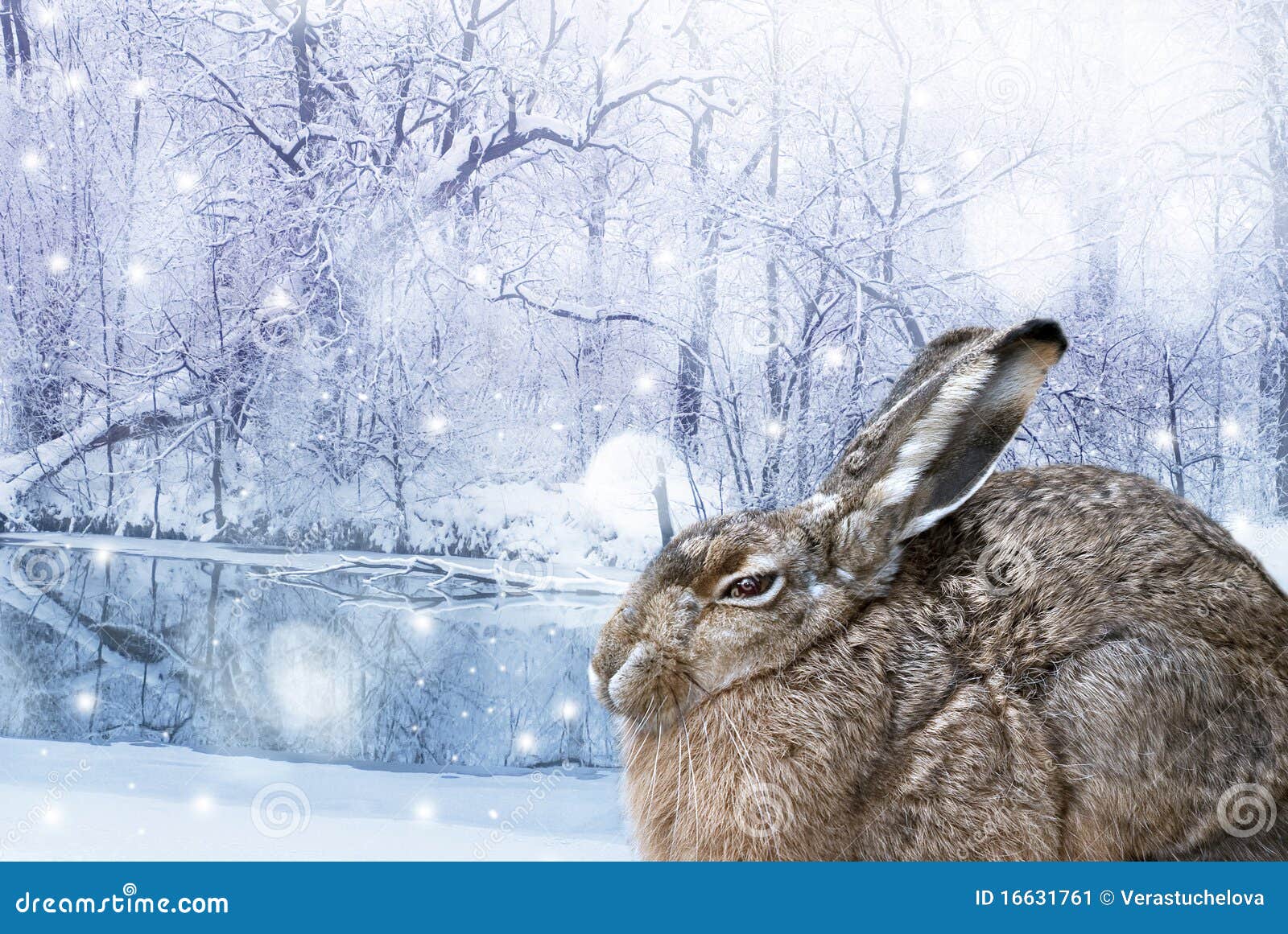 Hare in winter stock image. Image of funny, december - 16631761
