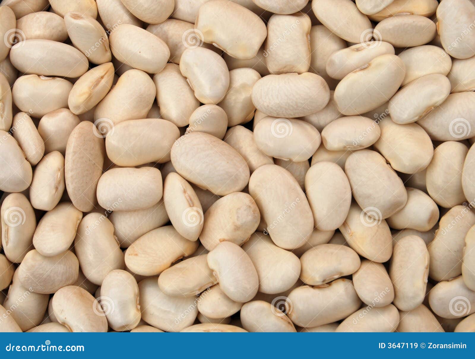 Haricot 01 image stock. Image du groupe, pile, fond, nourriture - 3647119