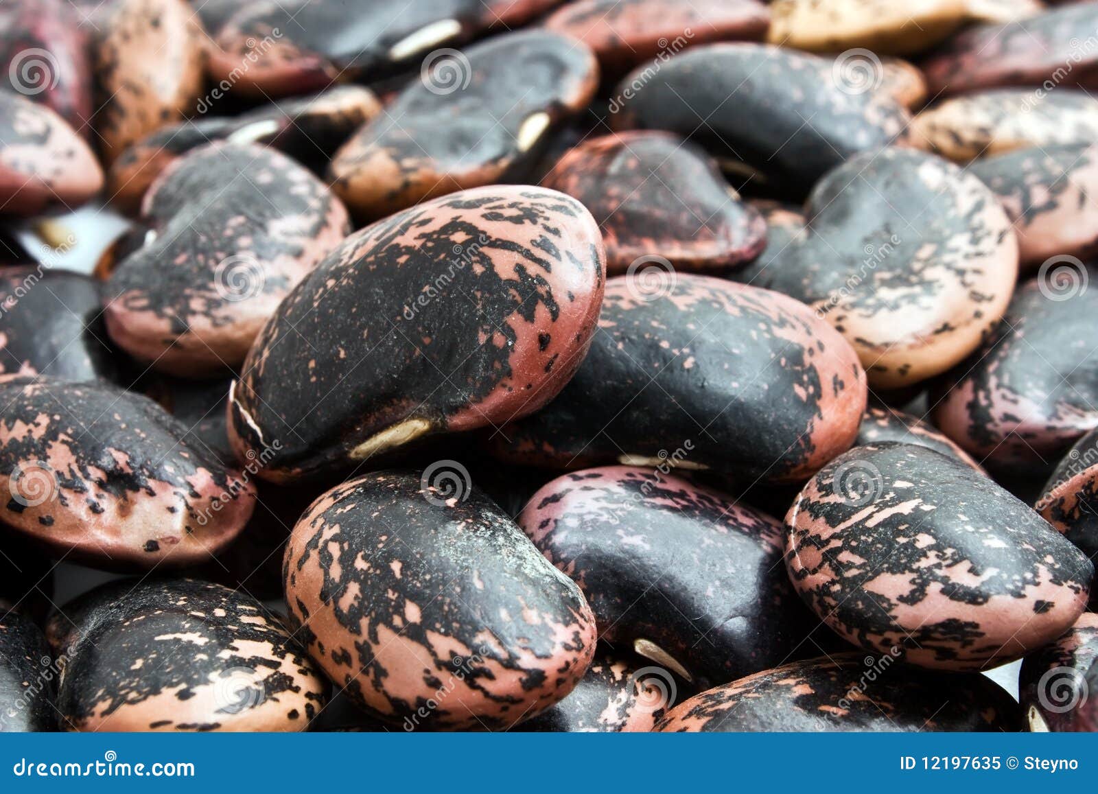 Haricot image stock. Image du haricot, santé, fond, protéine - 12197635