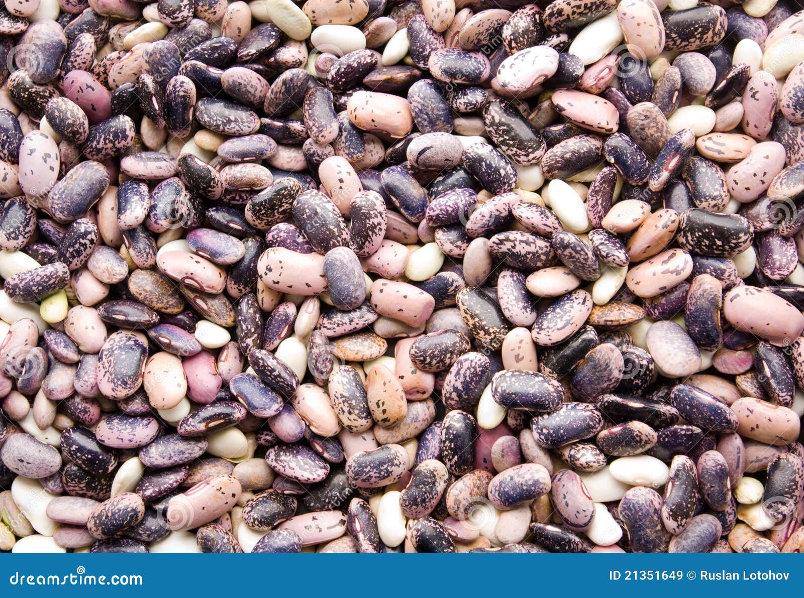 Haricot stock image. Image of market, group, haricot - 21351649