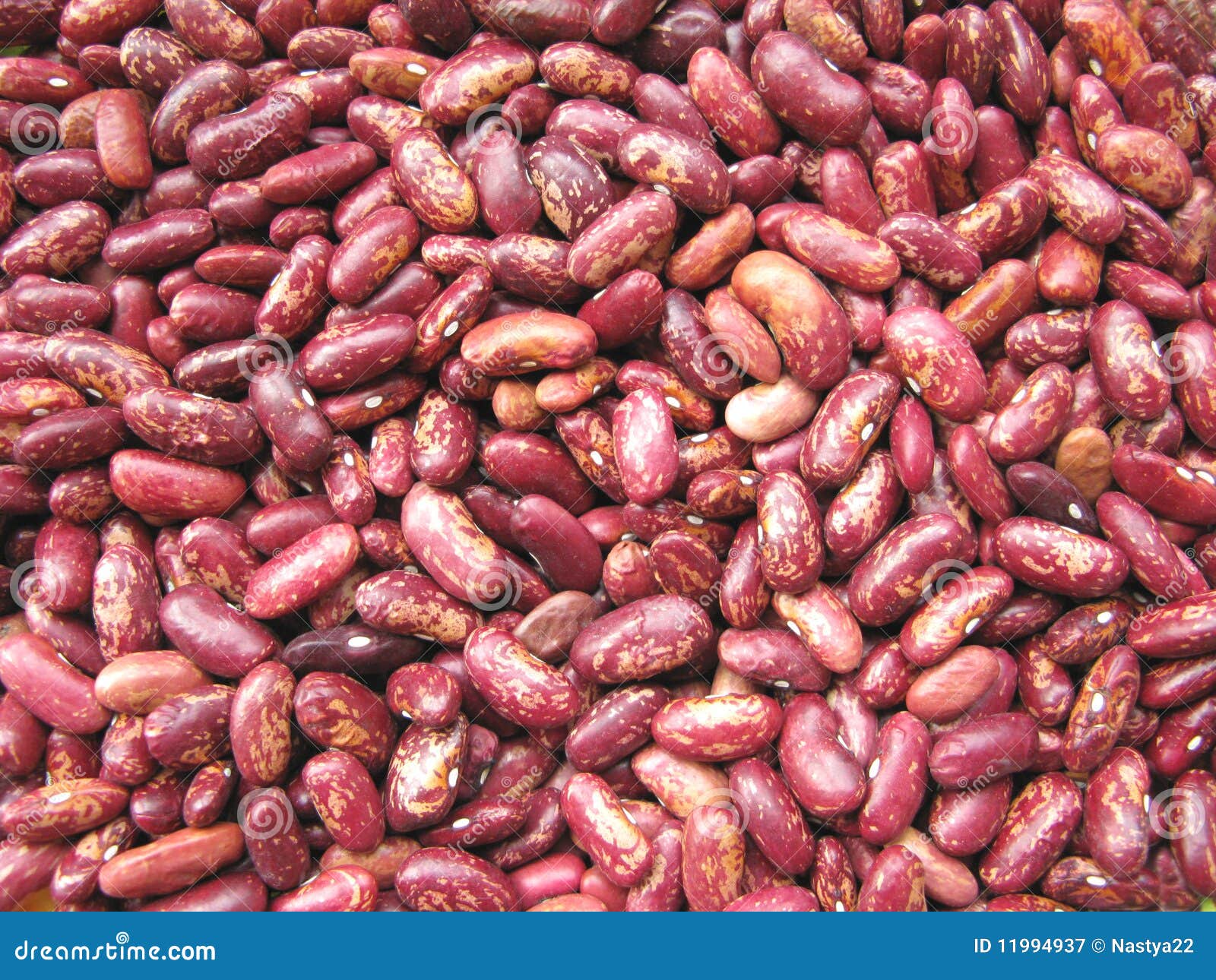 Haricot Bean Royalty Free Stock Photography - Image: 11994937