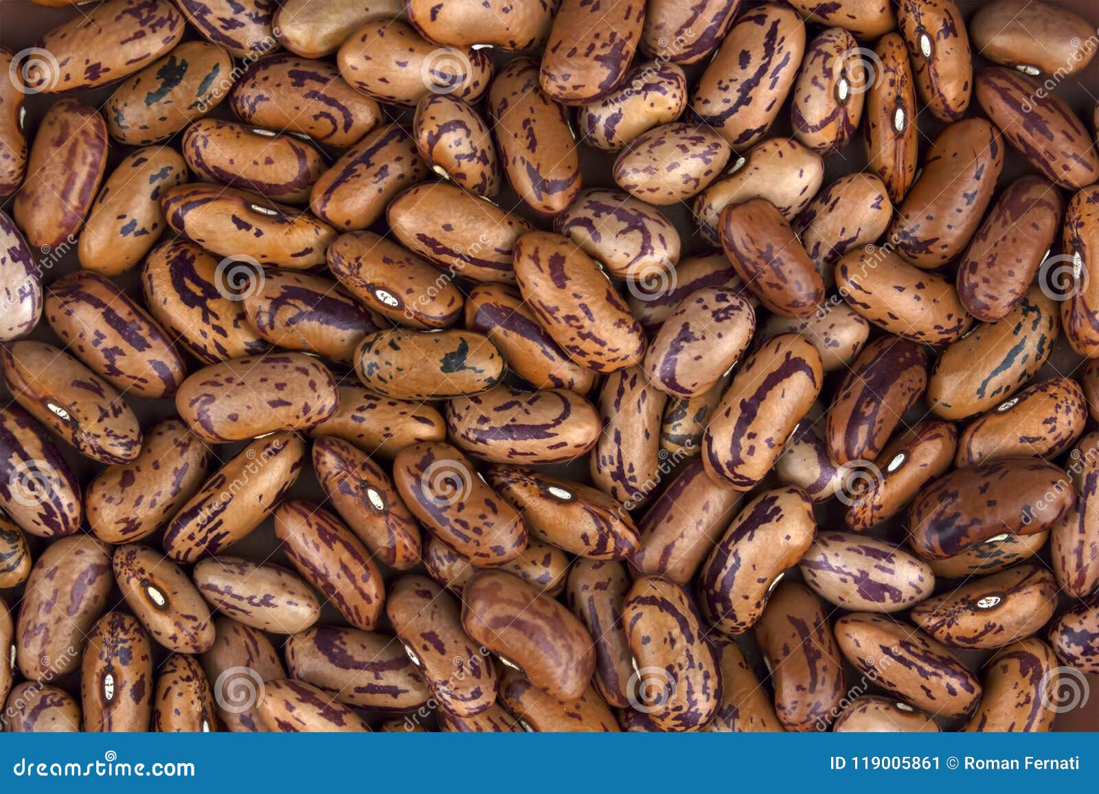 Haricot Bean Close Background with High Resolution Stock Image - Image ...