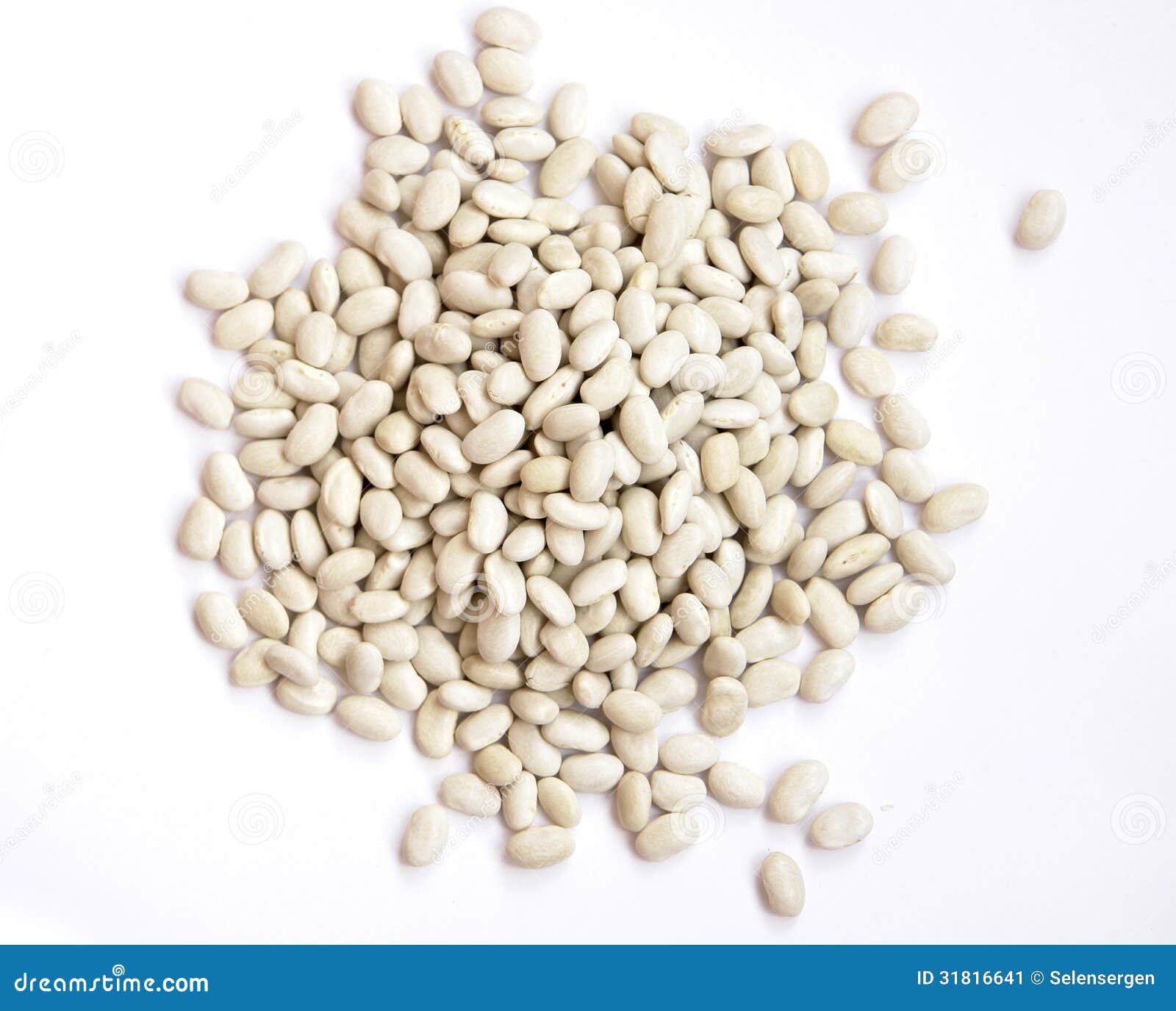 Haricot bean stock image. Image of macro, vegetables - 31816641