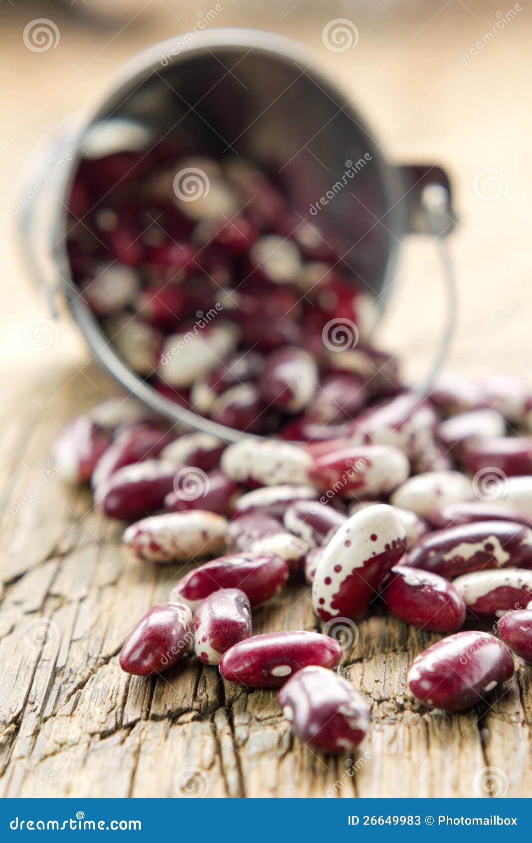 Haricot beans stock image. Image of diet, plant, haricot - 26649983
