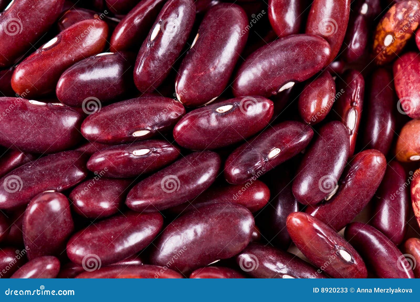 Haricot beans stock image. Image of dried, healthy, vegetarian - 8920233