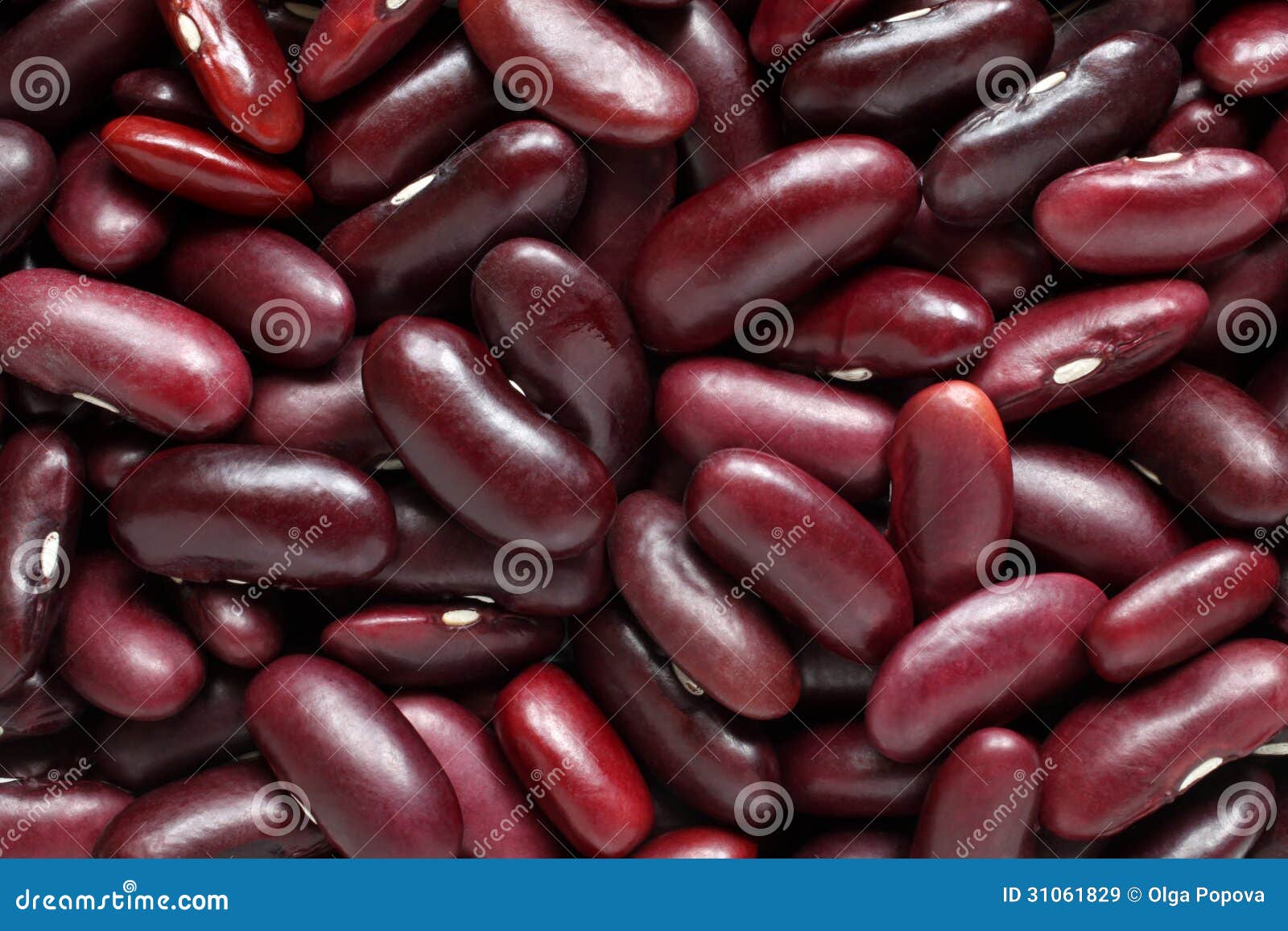 Haricot beans stock image. Image of heap, grain, healthy - 31061829