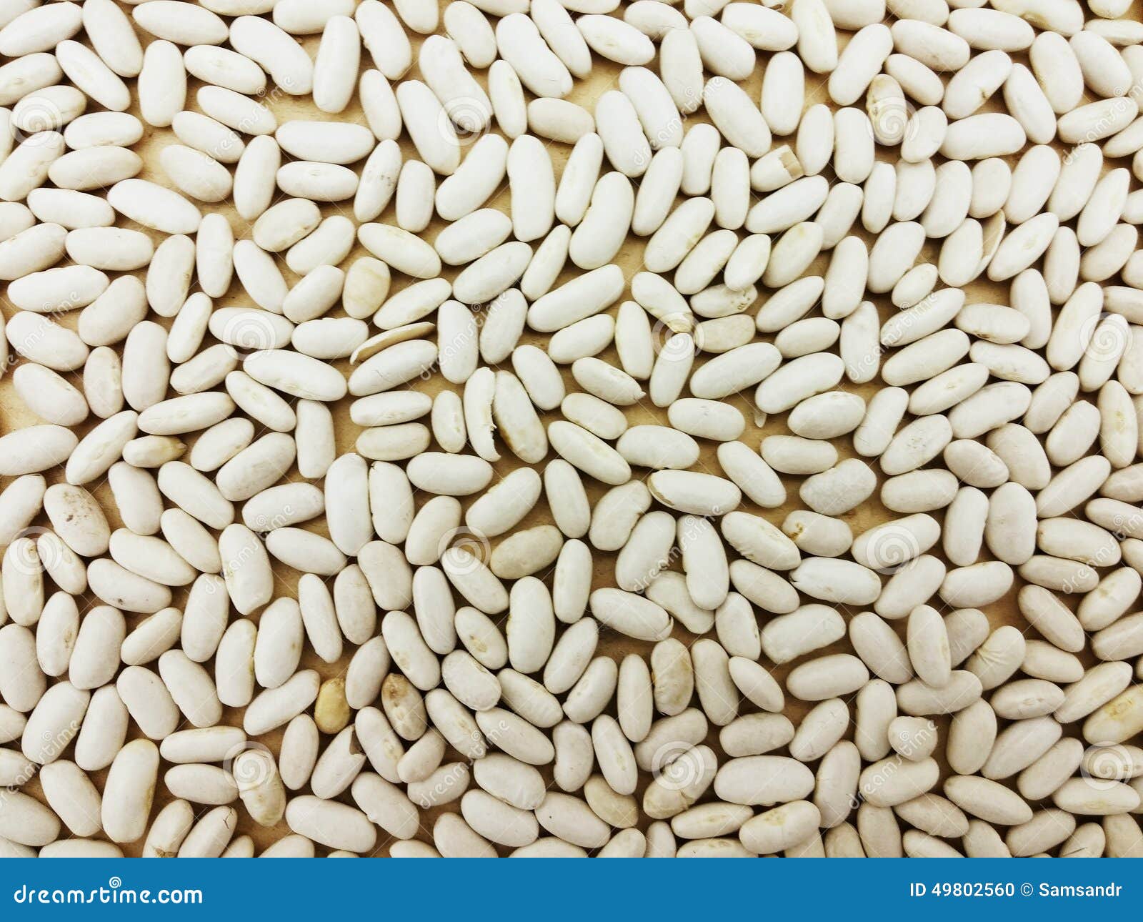 Haricot beans stock photo. Image of white, product, beans - 49802560