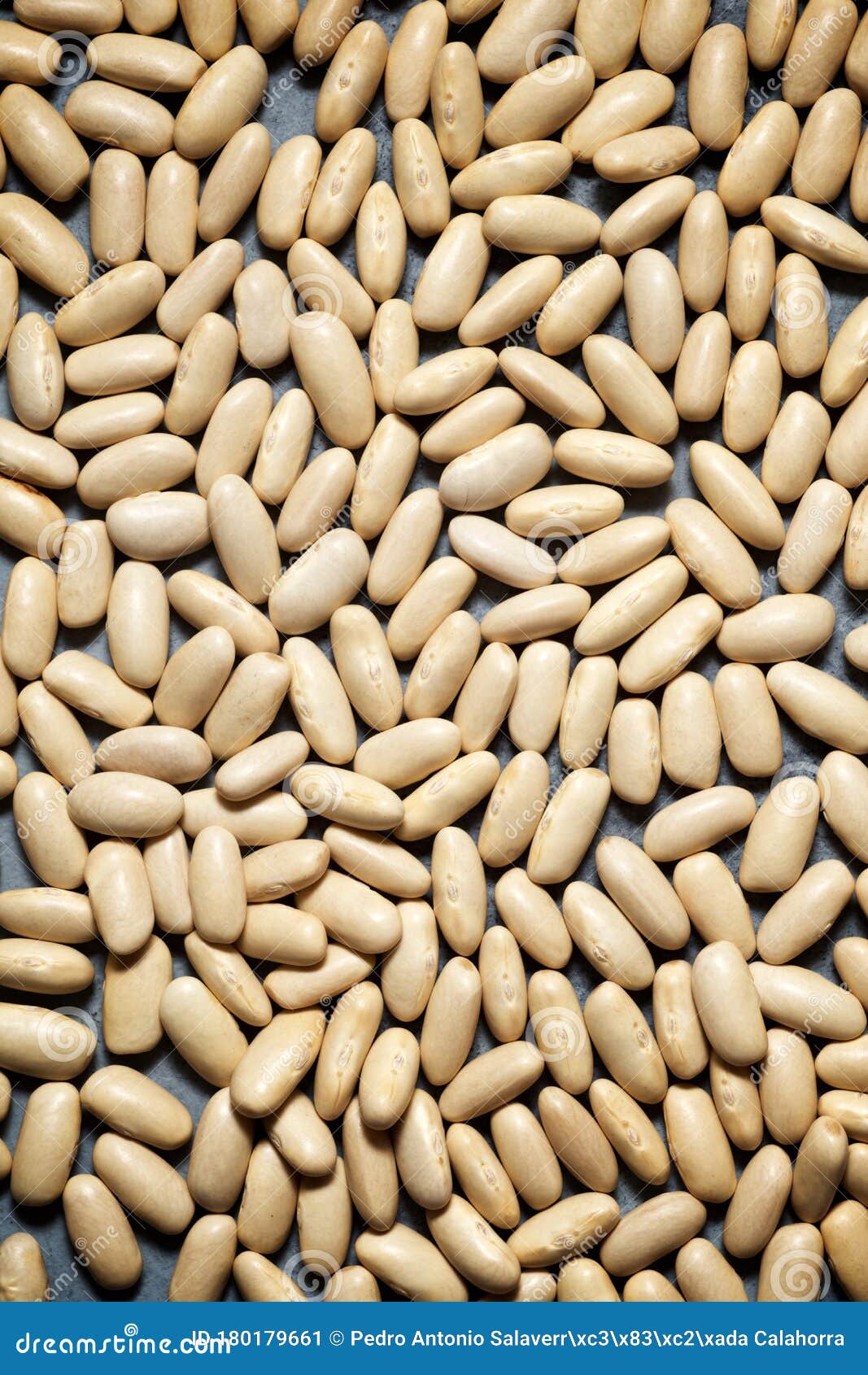 Haricot haricot gros plan image stock. Image du gastronomie - 180179661