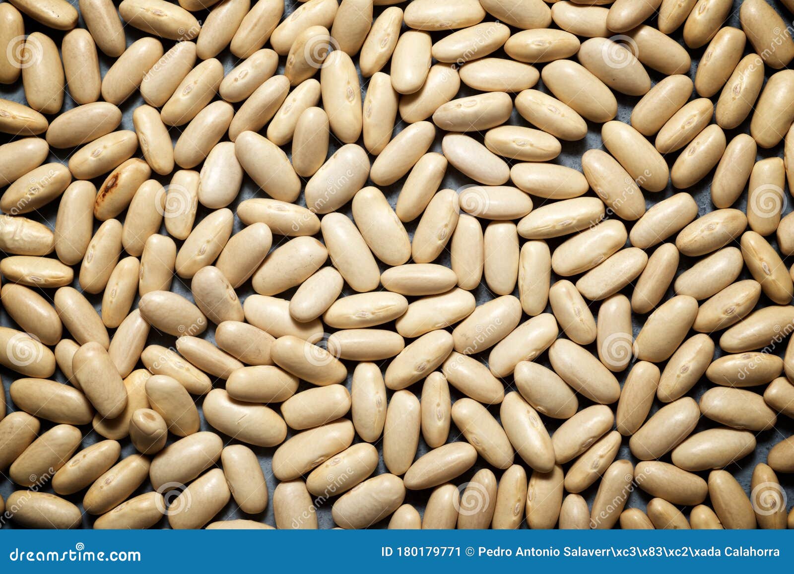 Haricot haricot gros plan image stock. Image du carbohydrate - 180179771