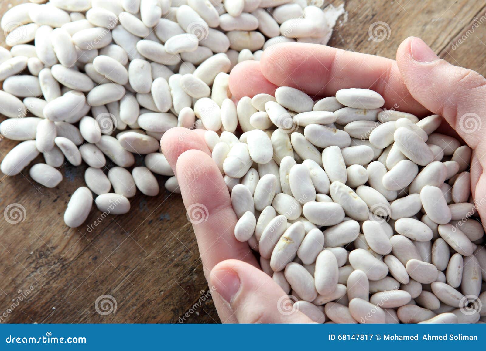 Haricot, Rein Blanc Ou Haricot De Lima Image stock - Image du chaux ...