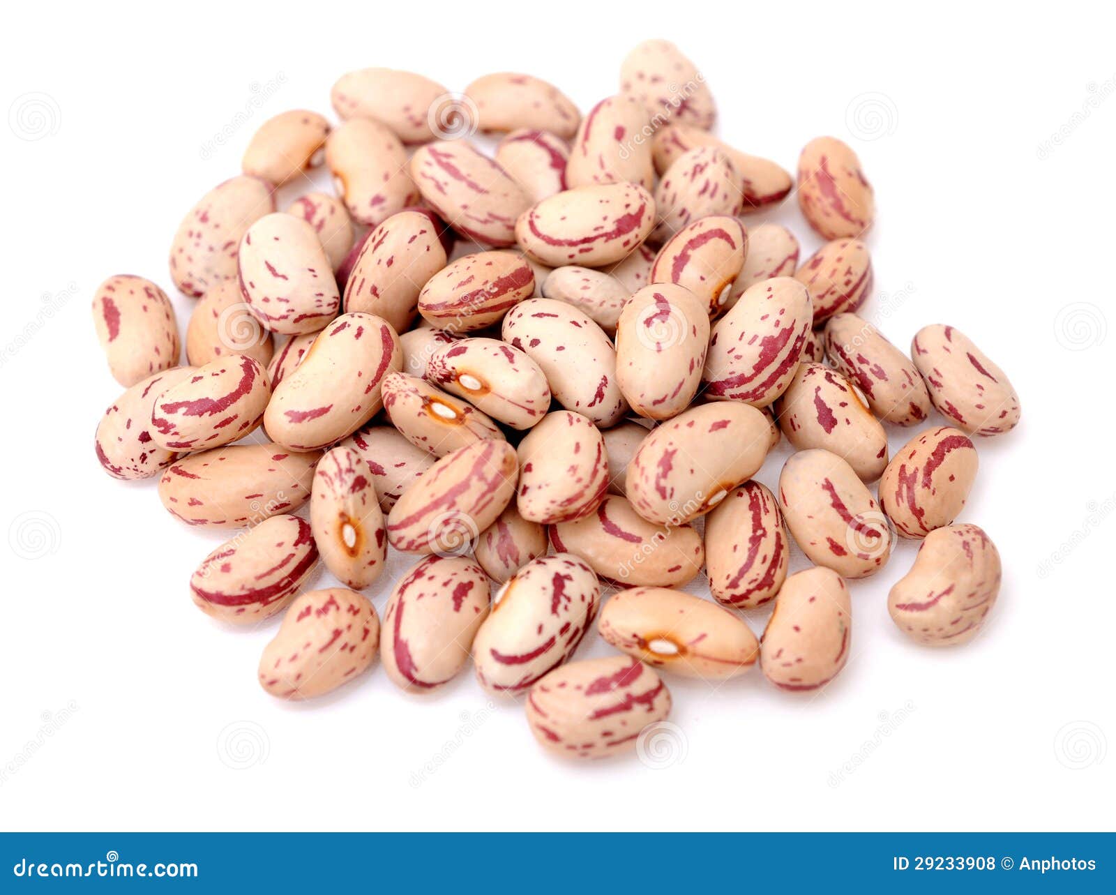 Haricot romain photo stock. Image du rein, poignée, ingrédient - 29233908