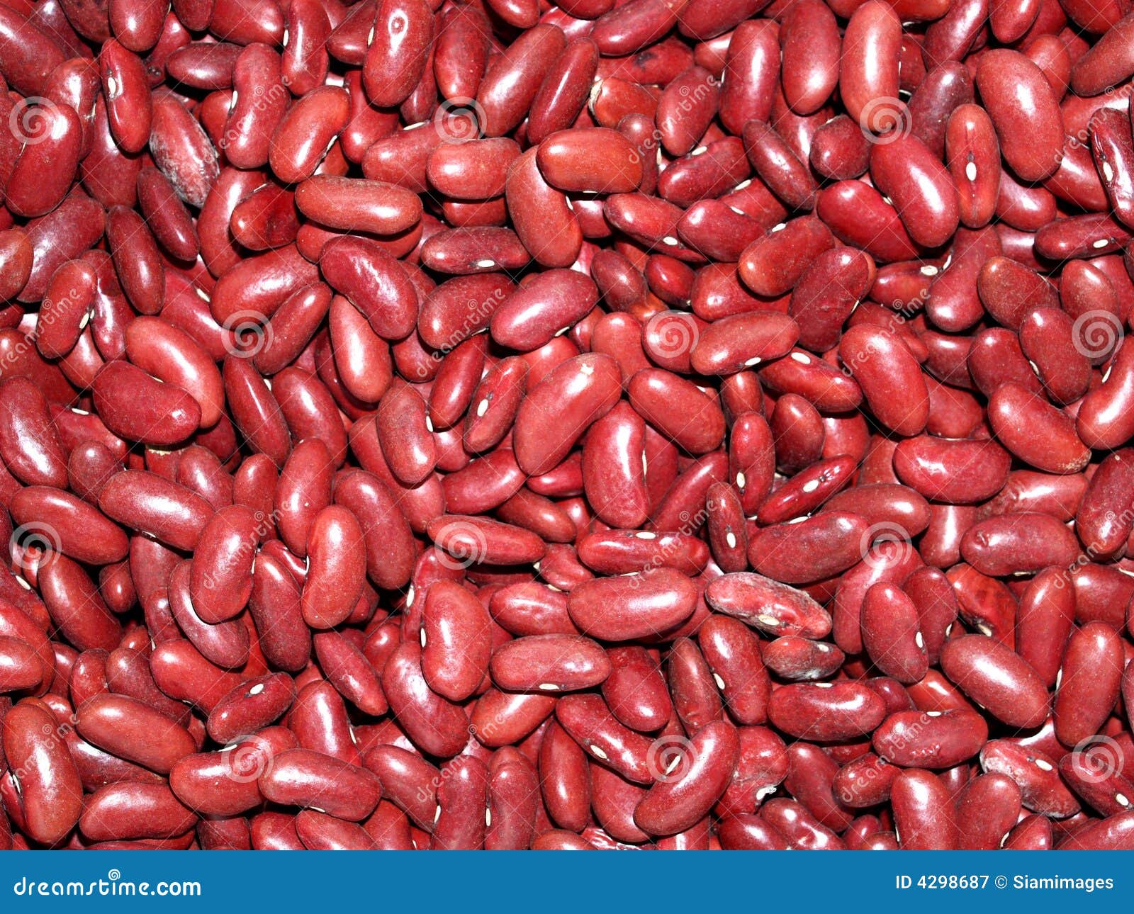 Haricot rouge image stock. Image du fond, graine, groupe - 4298687