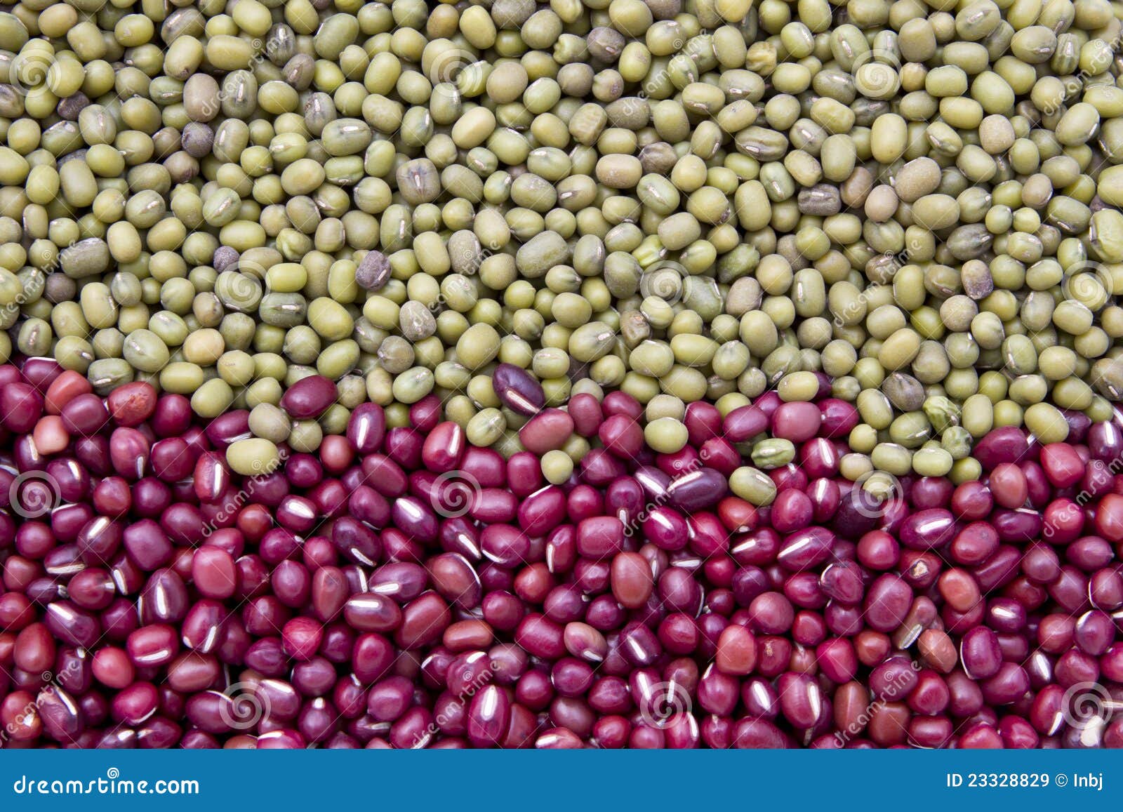 Haricot rouge et vert image stock. Image du normal, haricot - 23328829